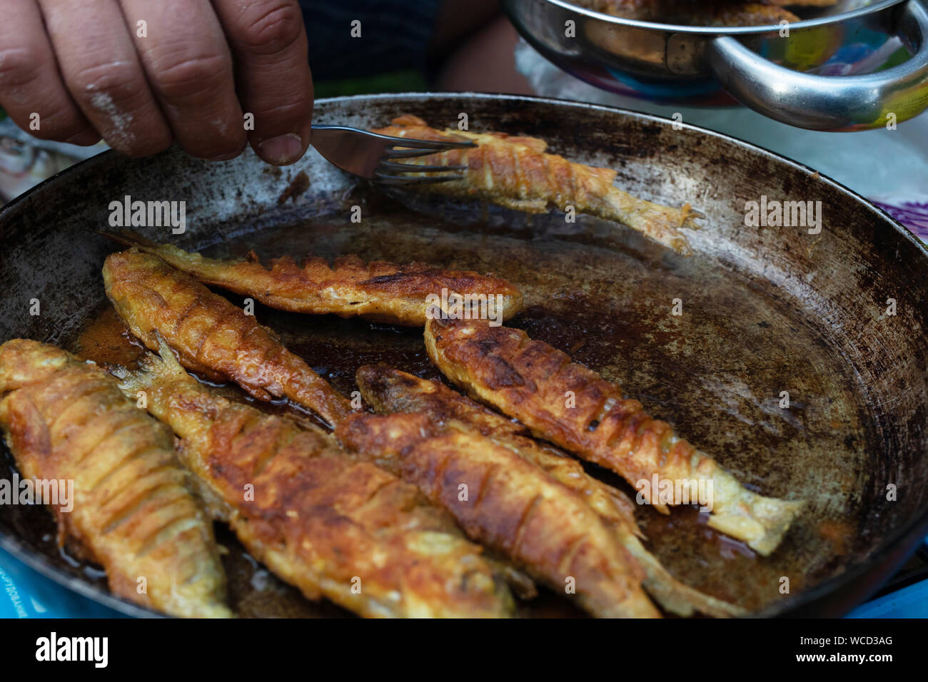cooking fried fish in a pan. close-up. camping cooking Stock Photo - Alamy