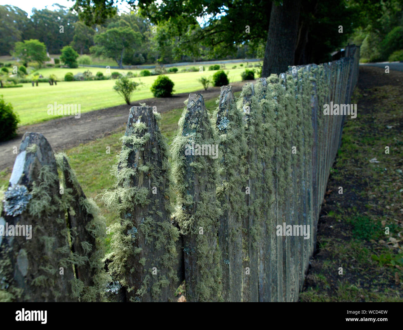 Moss garden fence hi-res stock photography and images - Alamy