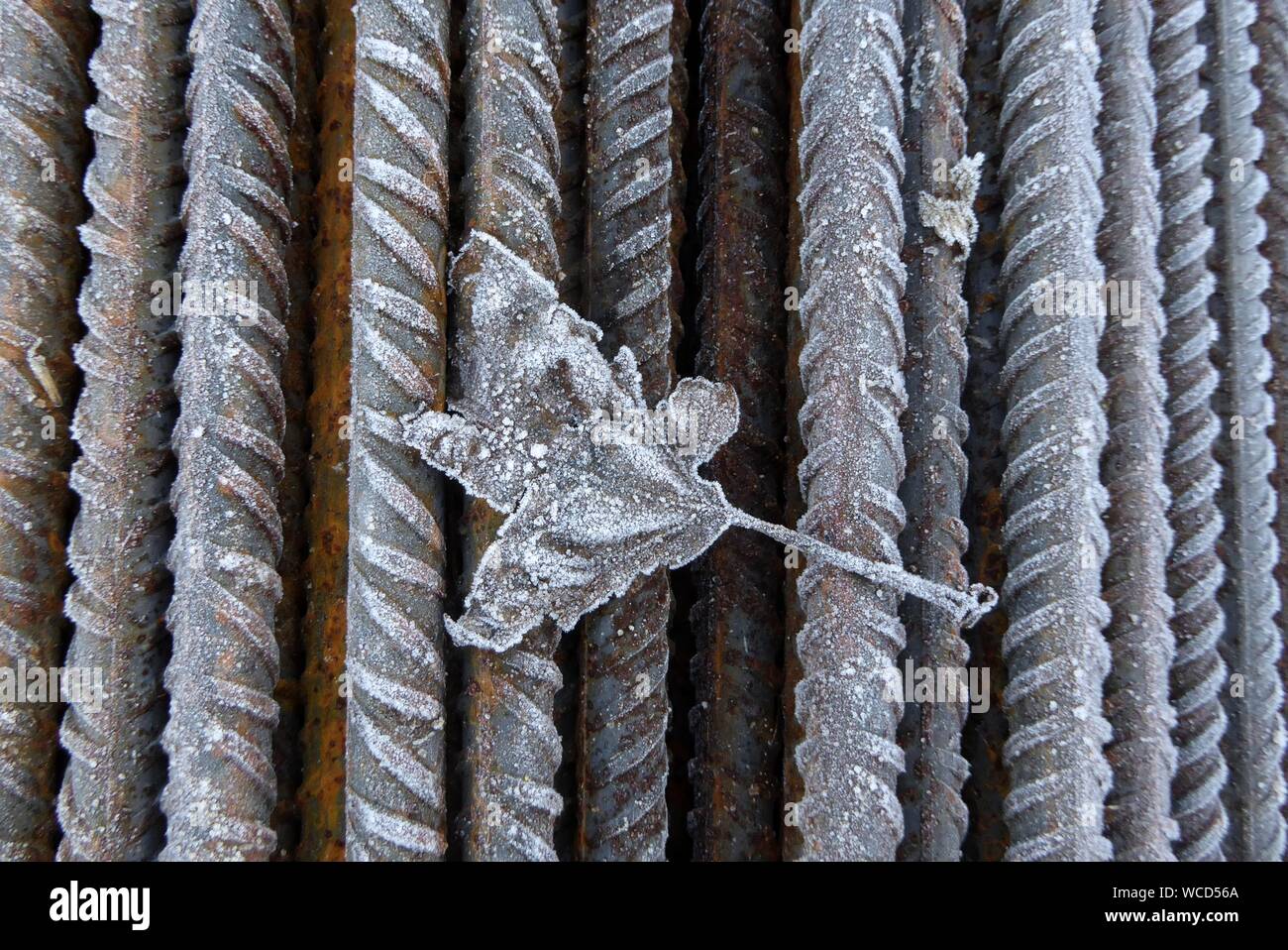 Iron leaf pattern hi-res stock photography and images - Alamy