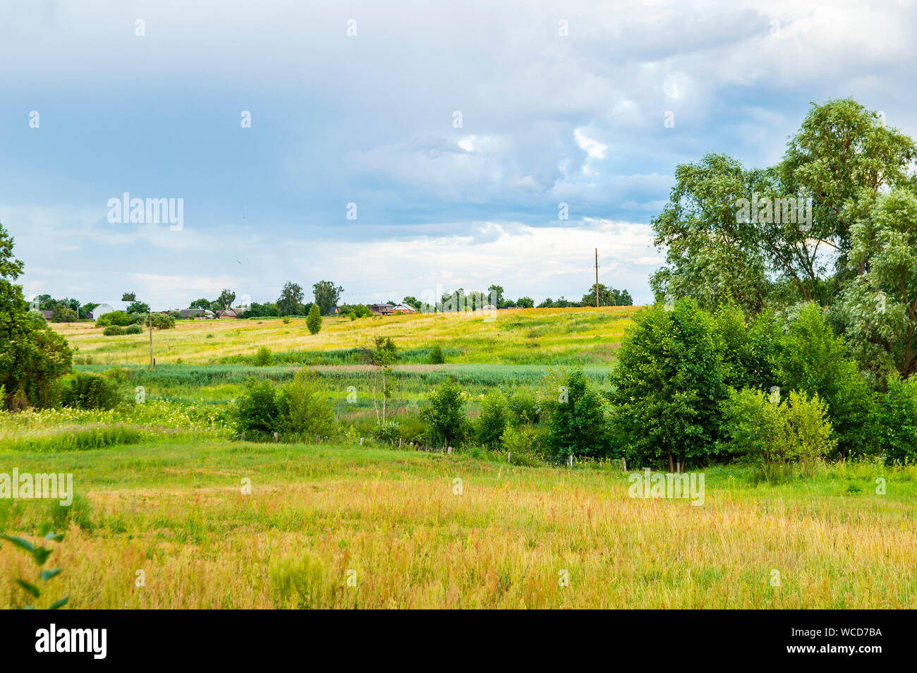 Natural horizon with thunderclouds on the sky. Background Stock Photo ...