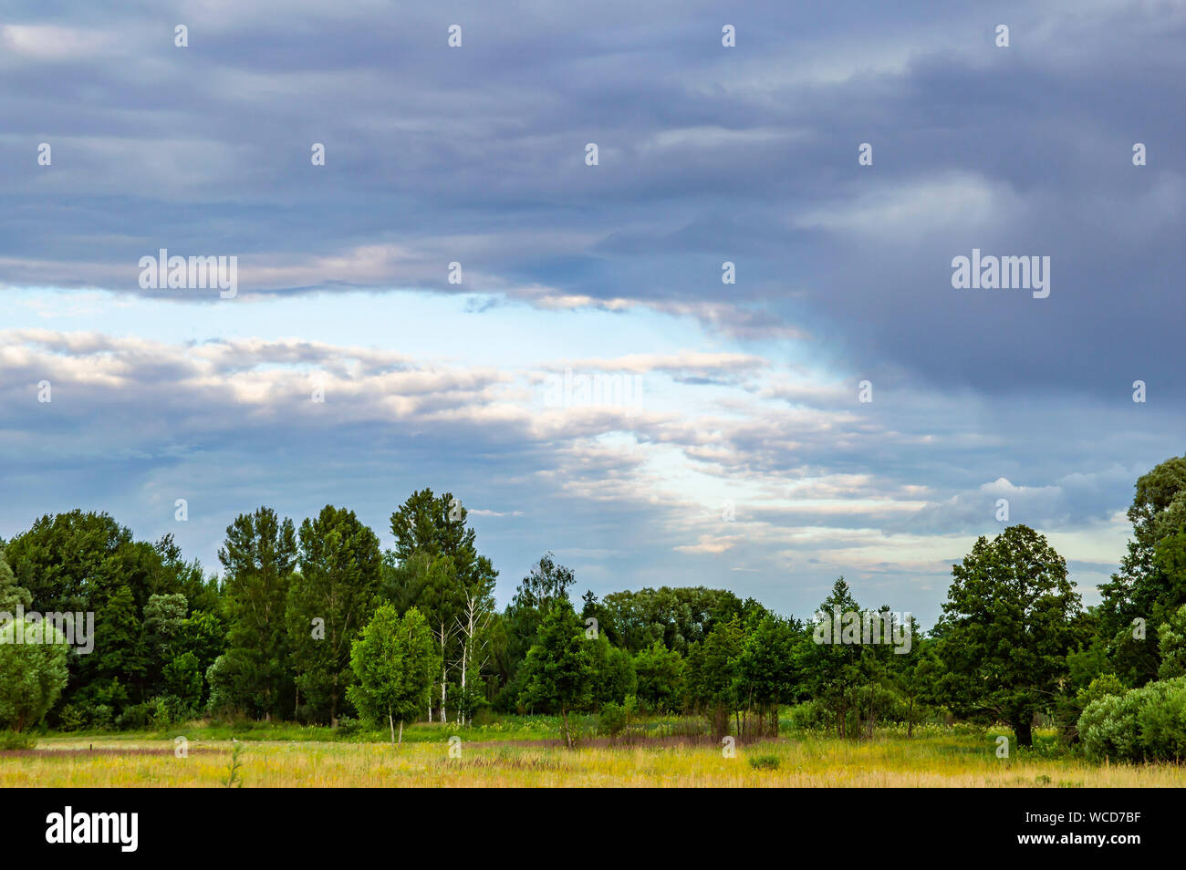 Natural horizon with thunderclouds on the sky. Background Stock Photo ...