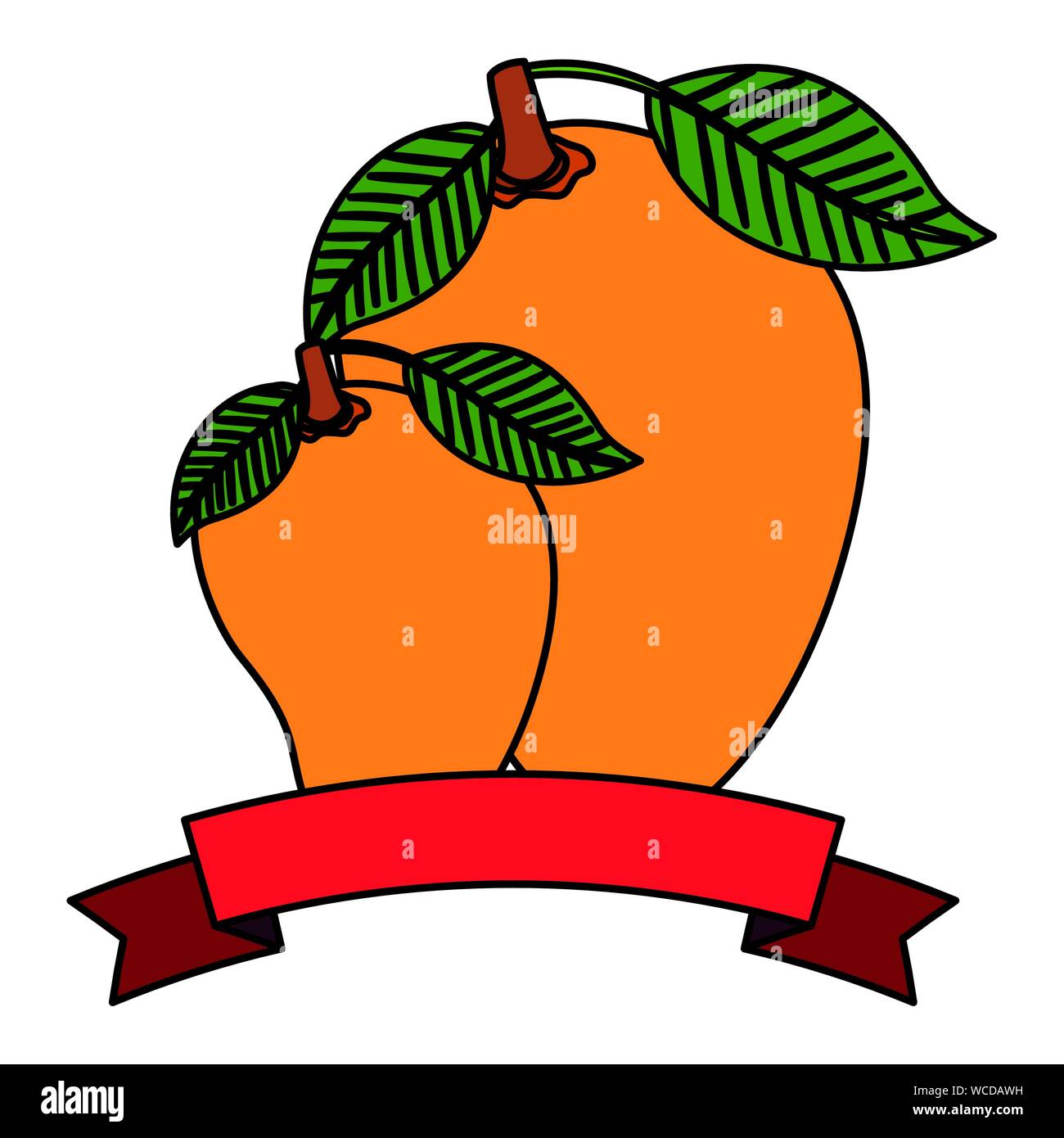 fresh mango fruit with ribbon stamp Stock Vector Image & Art - Alamy