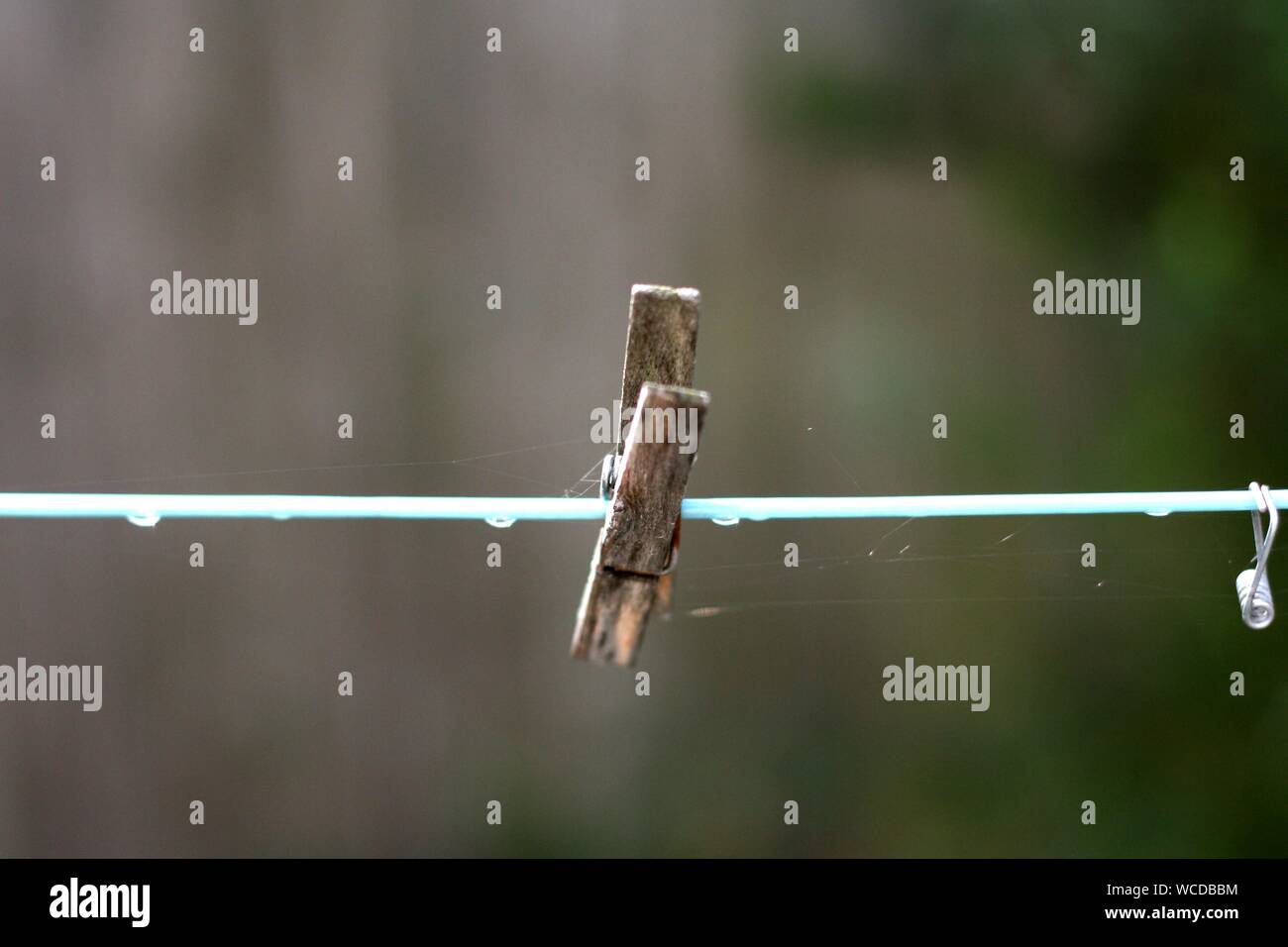 Wet string hi-res stock photography and images - Alamy