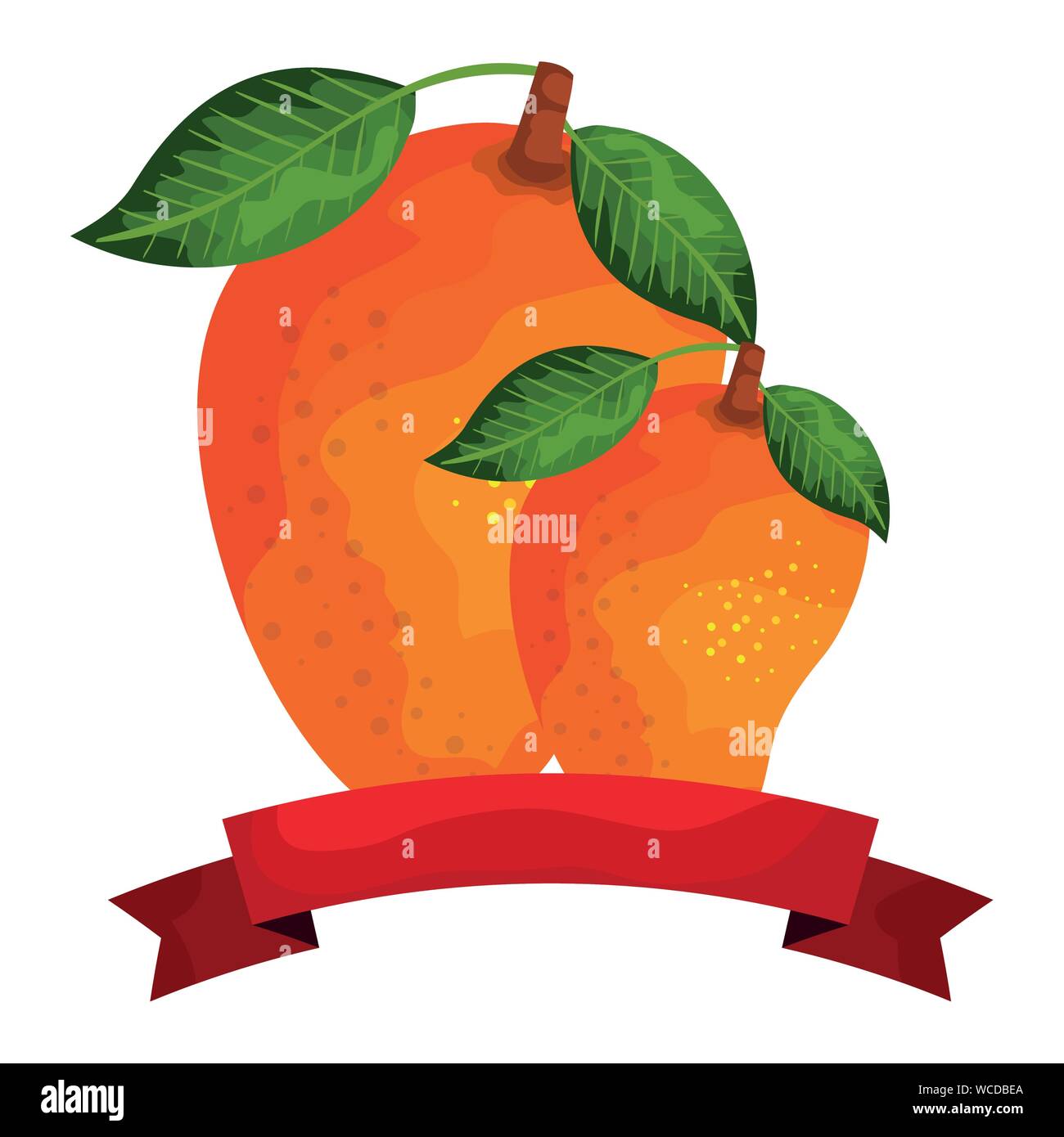fresh mango fruit with ribbon stamp Stock Vector Image & Art - Alamy