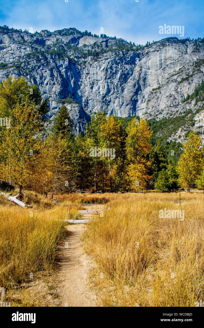 Yosemite cliff cliffs rock hi-res stock photography and images - Alamy