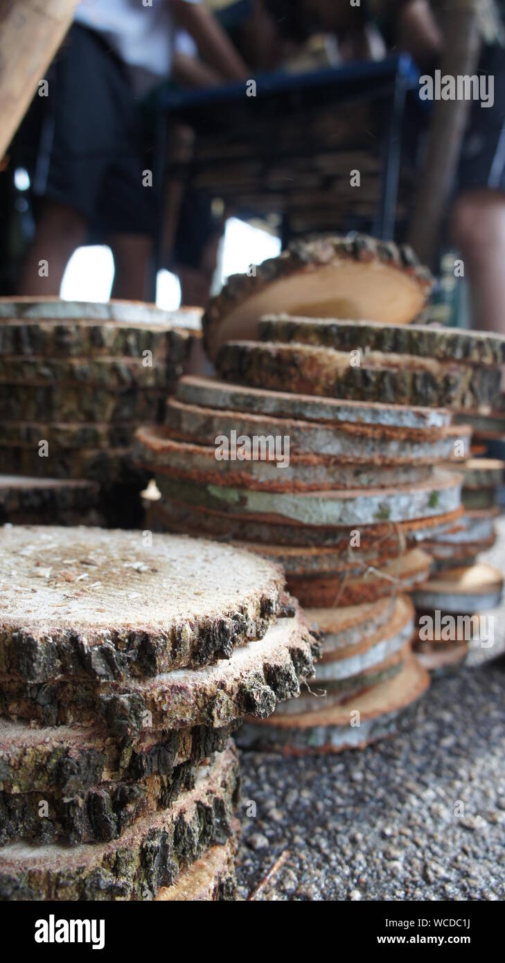 Ground log hi-res stock photography and images - Alamy