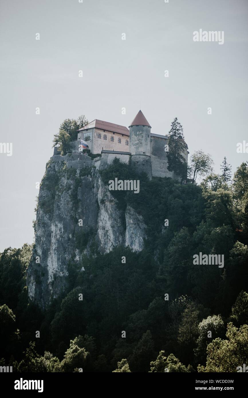 Vertical shot of a castle on top of the cliff near trees with a clear ...