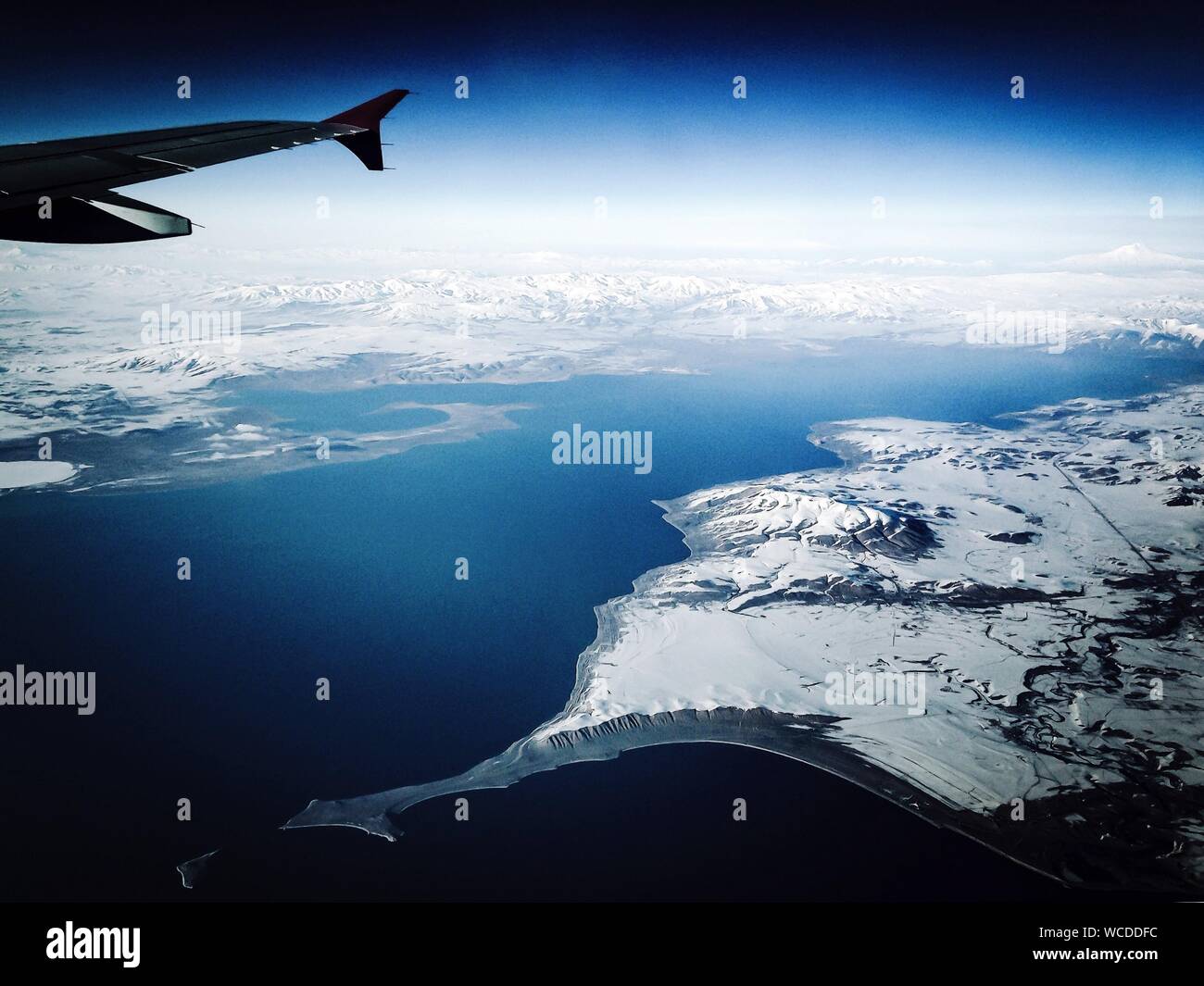 Mid wing hi-res stock photography and images - Alamy