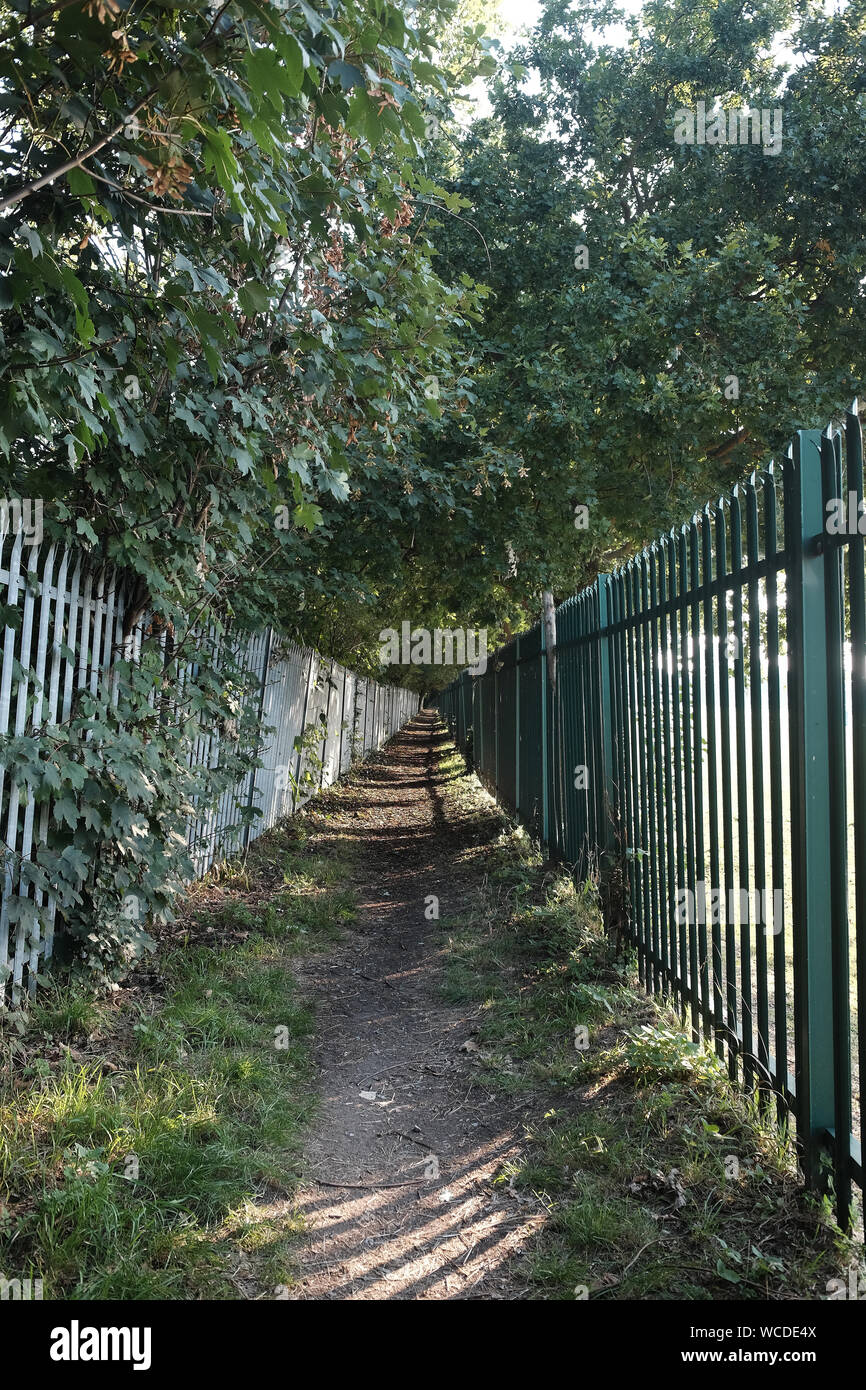 London walk signs hi-res stock photography and images - Alamy