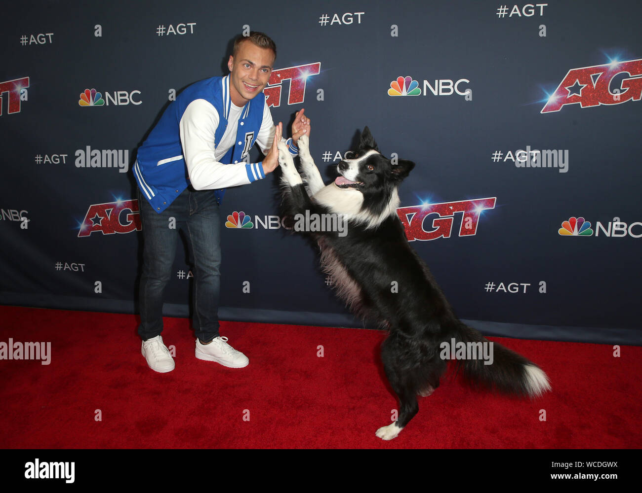 Falco punch hi-res stock photography and images - Alamy