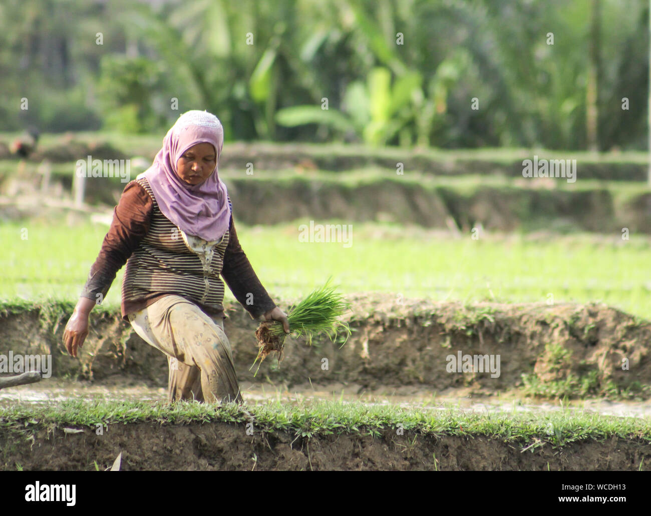 the faces of the villagers Stock Photo - Alamy