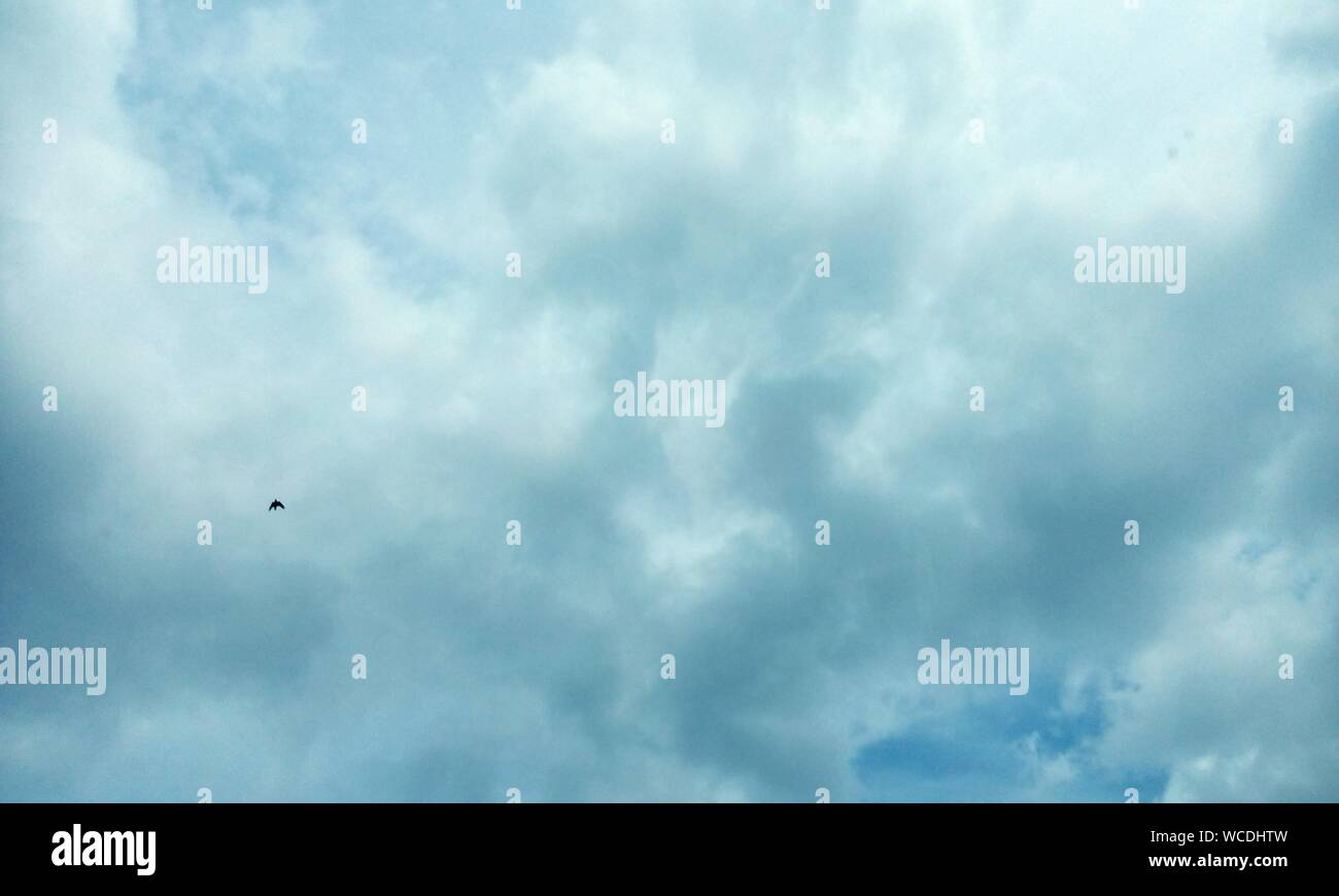 High up in sky hi-res stock photography and images - Alamy