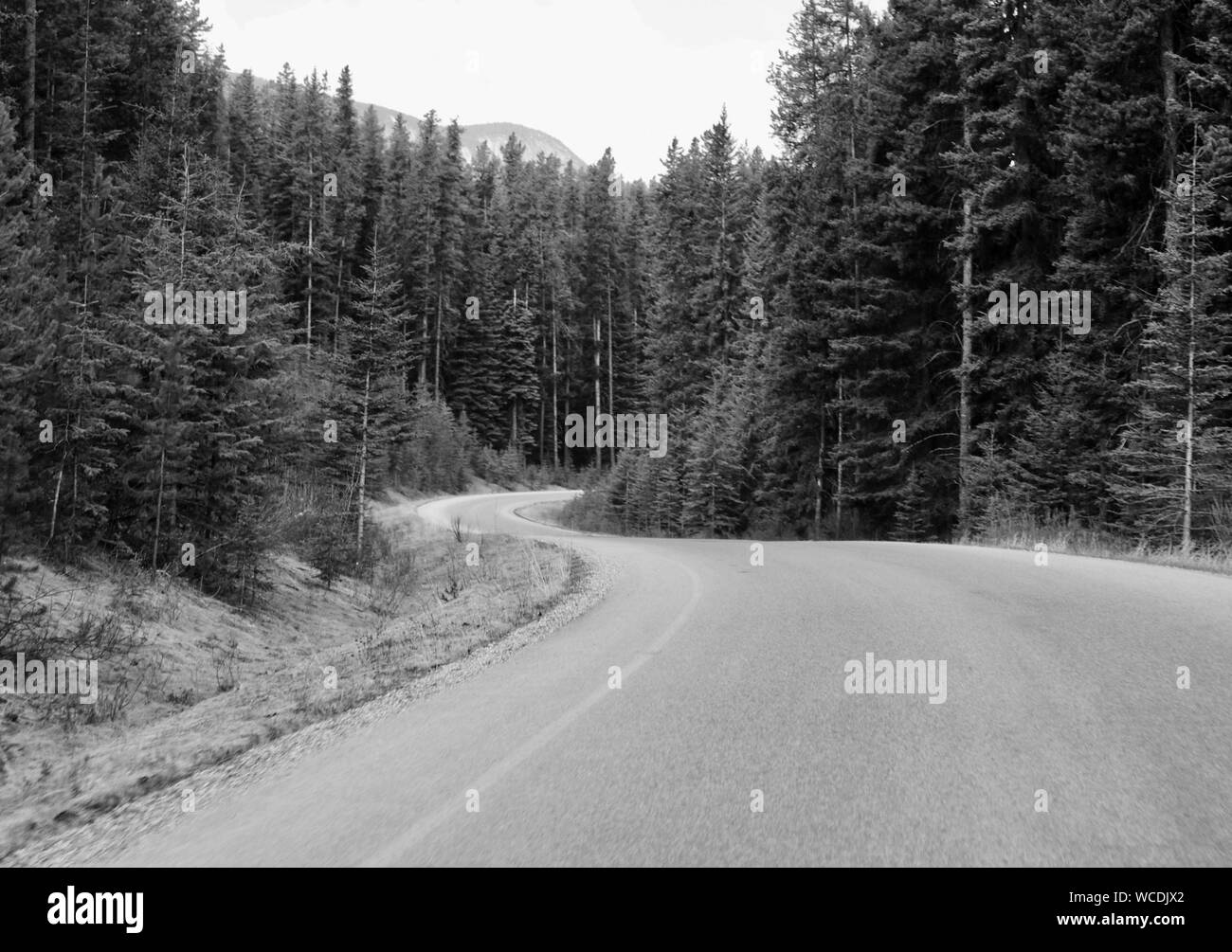 Landscape Road With Trees In Rocky High Resolution Stock Photography ...