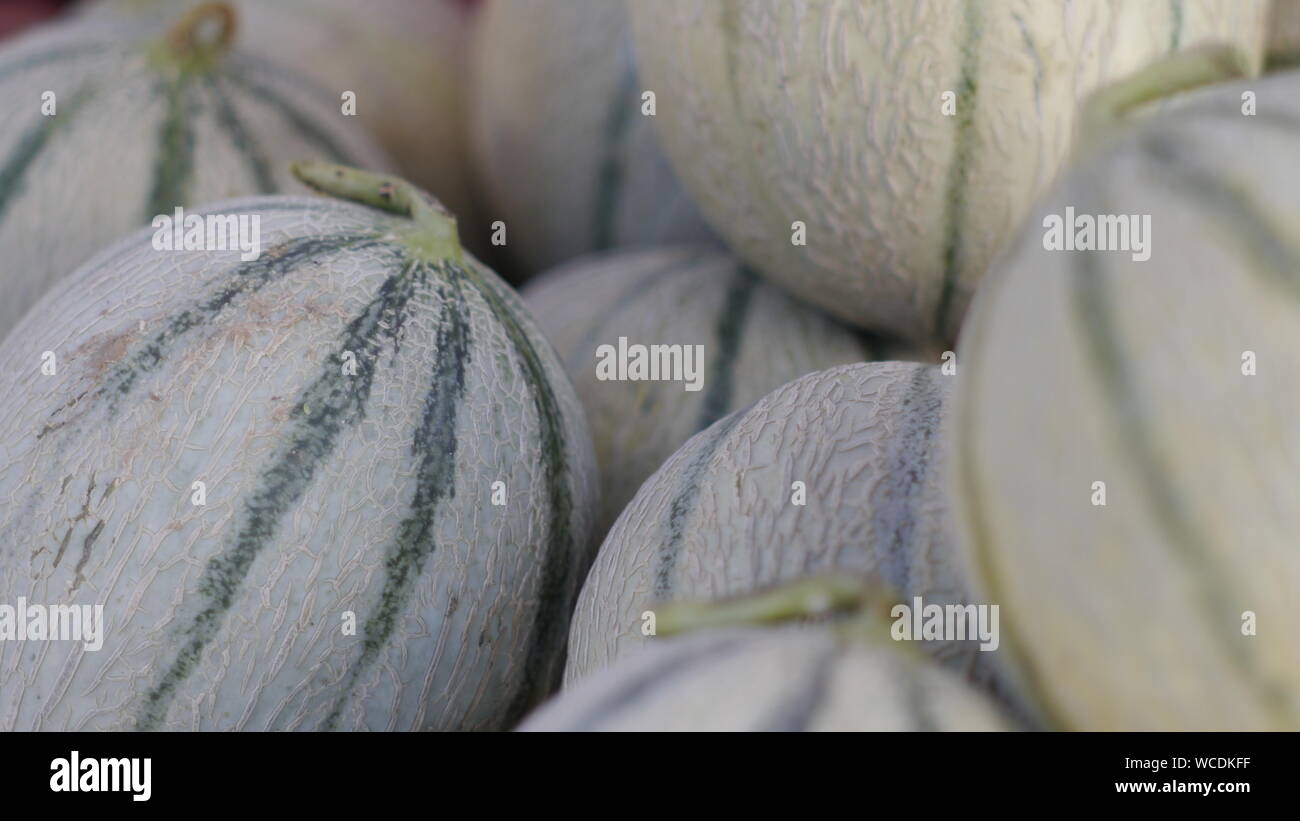 Melon Frame High Resolution Stock Photography and Images - Alamy