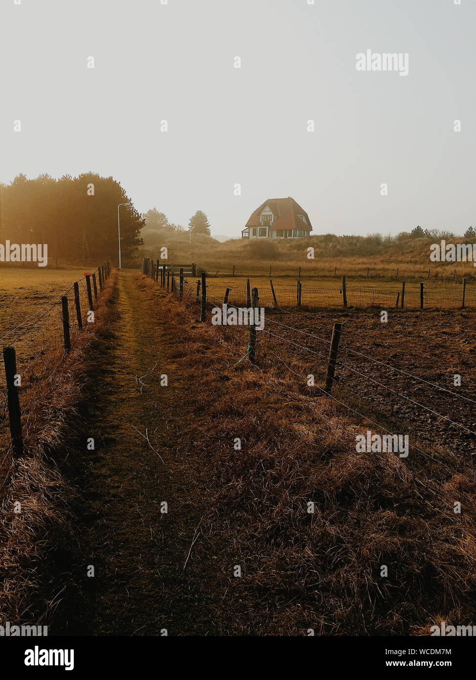 Separated field hi-res stock photography and images - Alamy