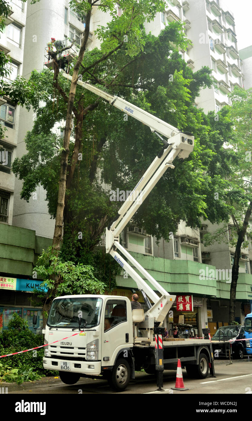 Tree trimming truck hi-res stock photography and images - Alamy