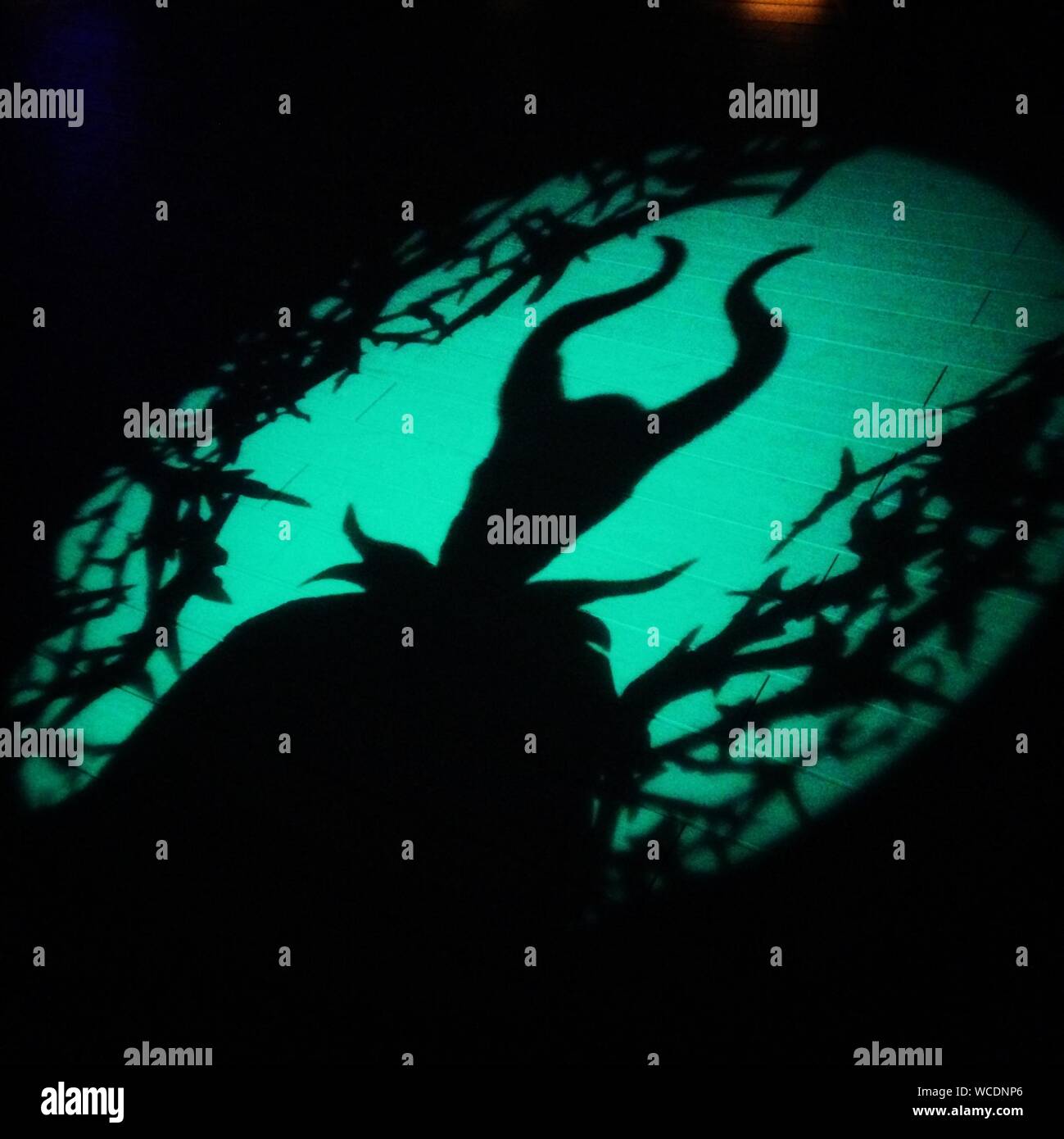 Monster shadow hi-res stock photography and images - Alamy