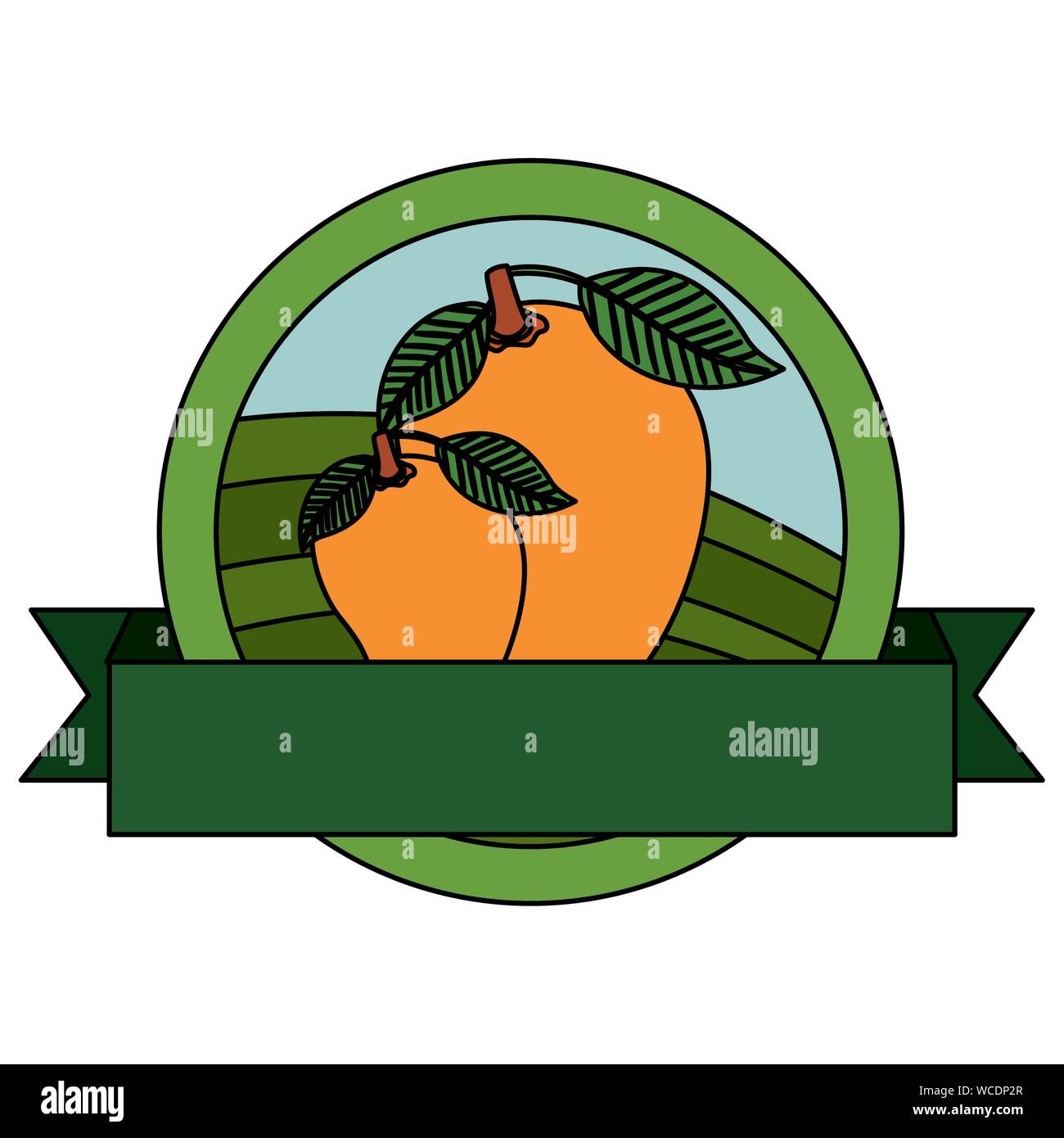 fresh mango fruit with ribbon stamp Stock Vector Image & Art - Alamy