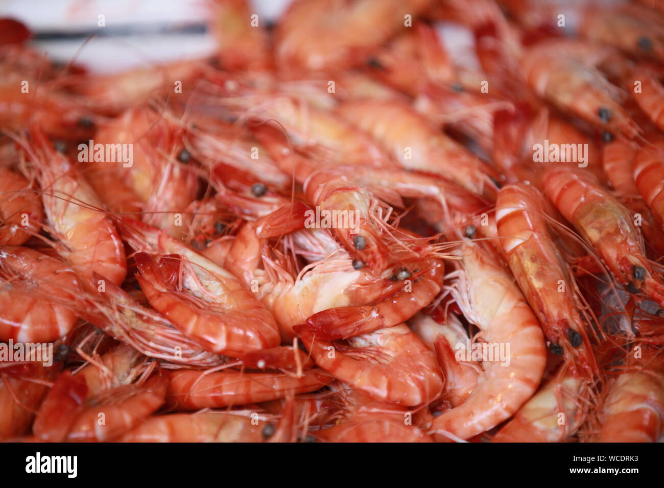 Prawn Stack High Resolution Stock Photography and Images - Alamy
