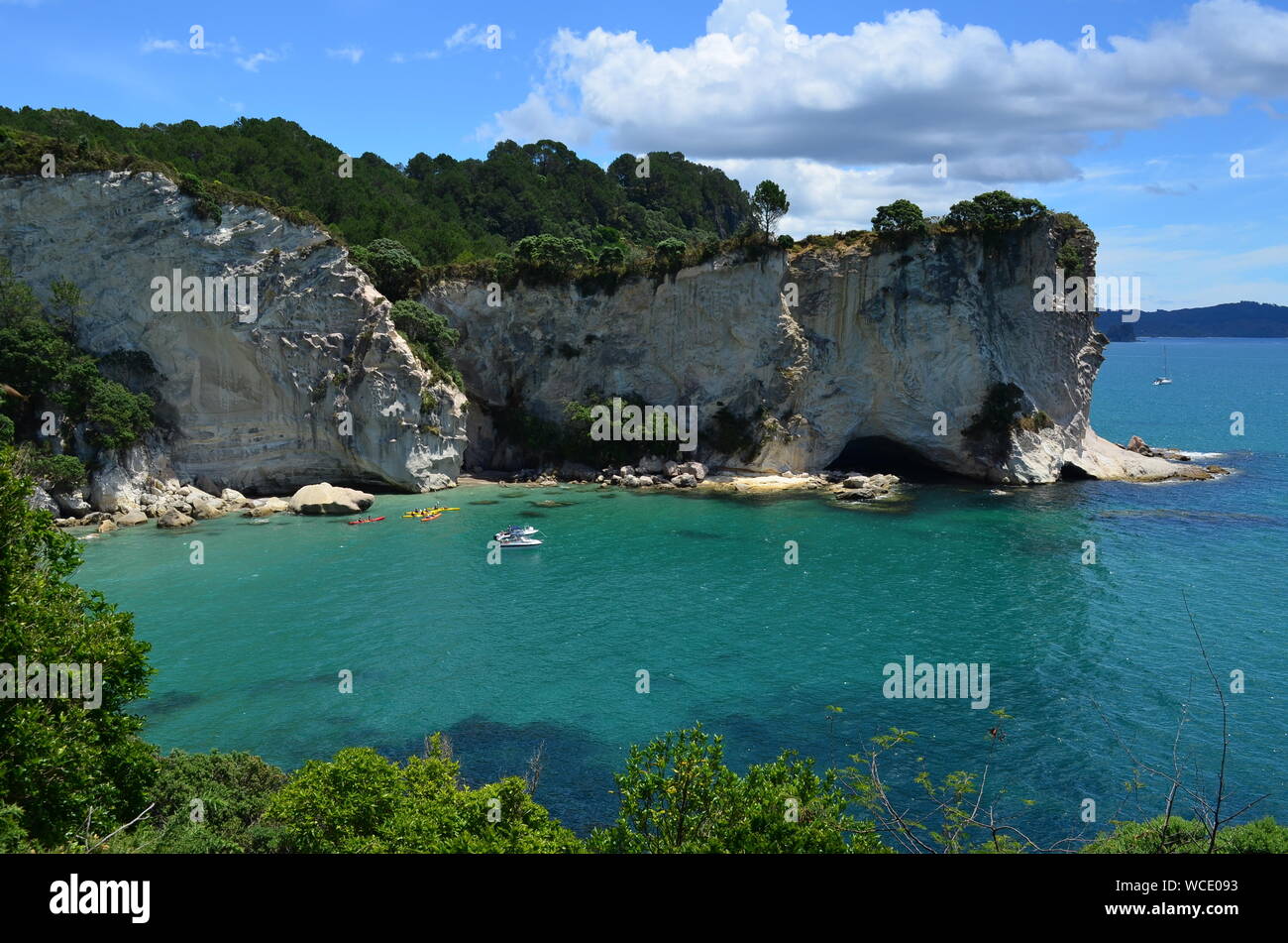 Scenic Stingray Bay in the Coromandel region of New Zealand Stock Photo ...