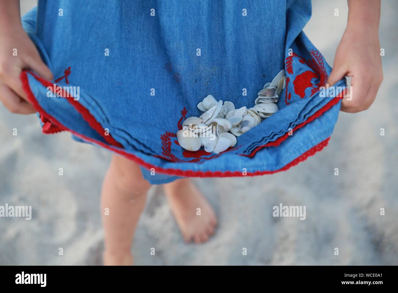 Collecting shells hi-res stock photography and images - Alamy