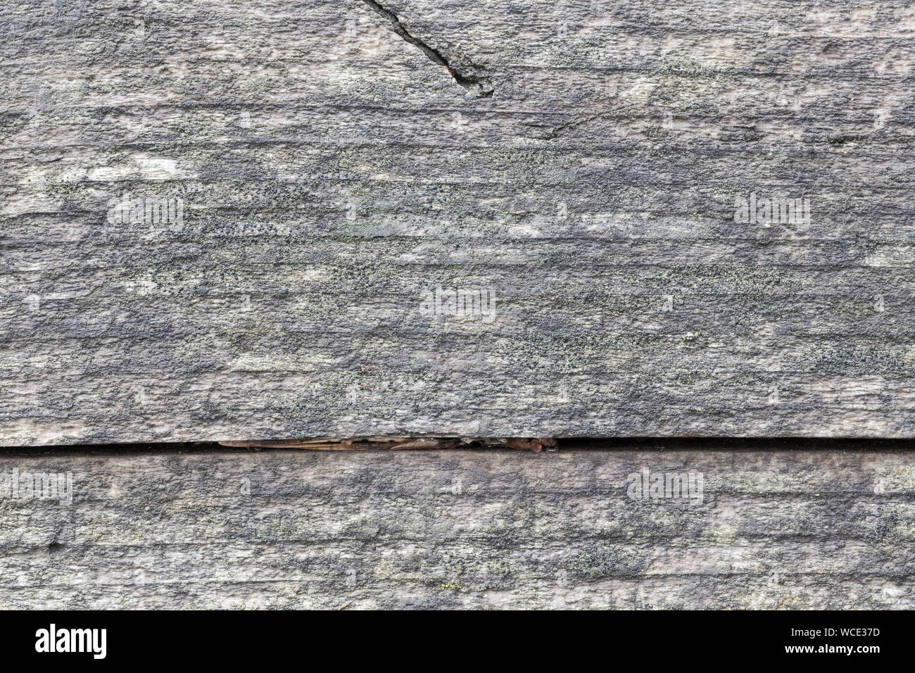 Old moldy wood texture background hi-res stock photography and images ...