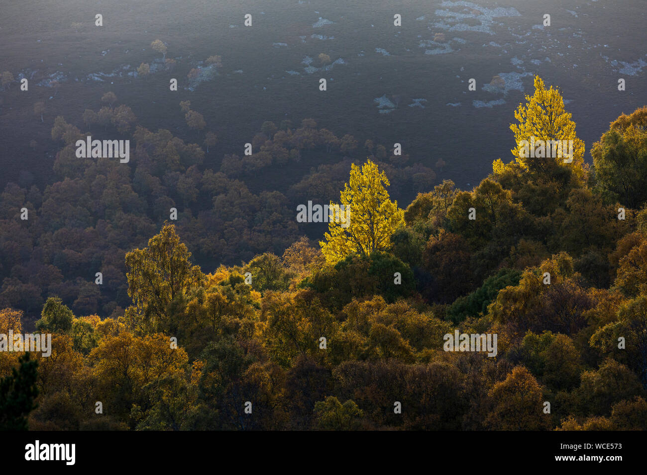 Braemar; Dee Valley View; Scotland; UK Stock Photo - Alamy
