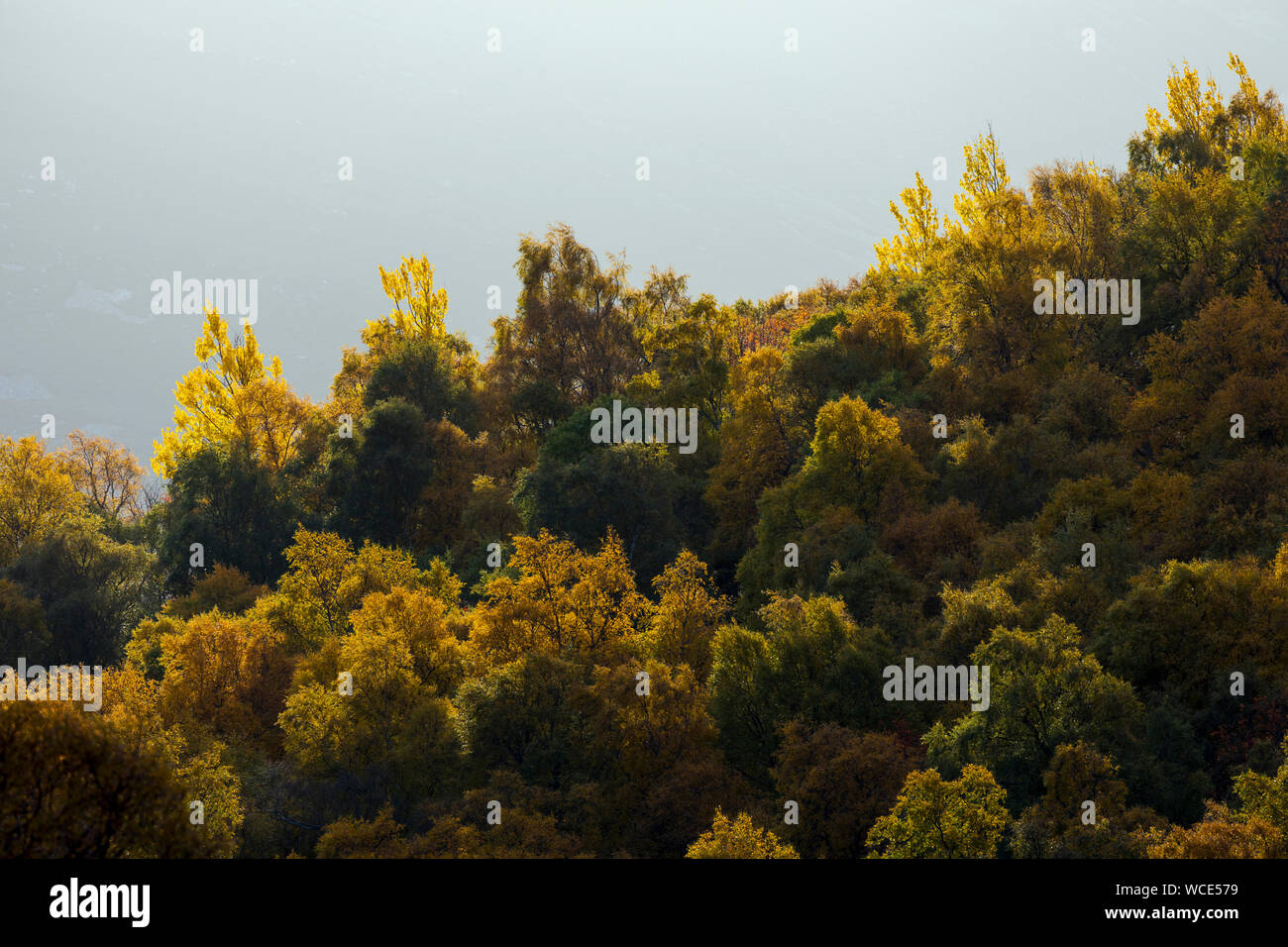 Braemar; Dee Valley View; Scotland; UK Stock Photo - Alamy