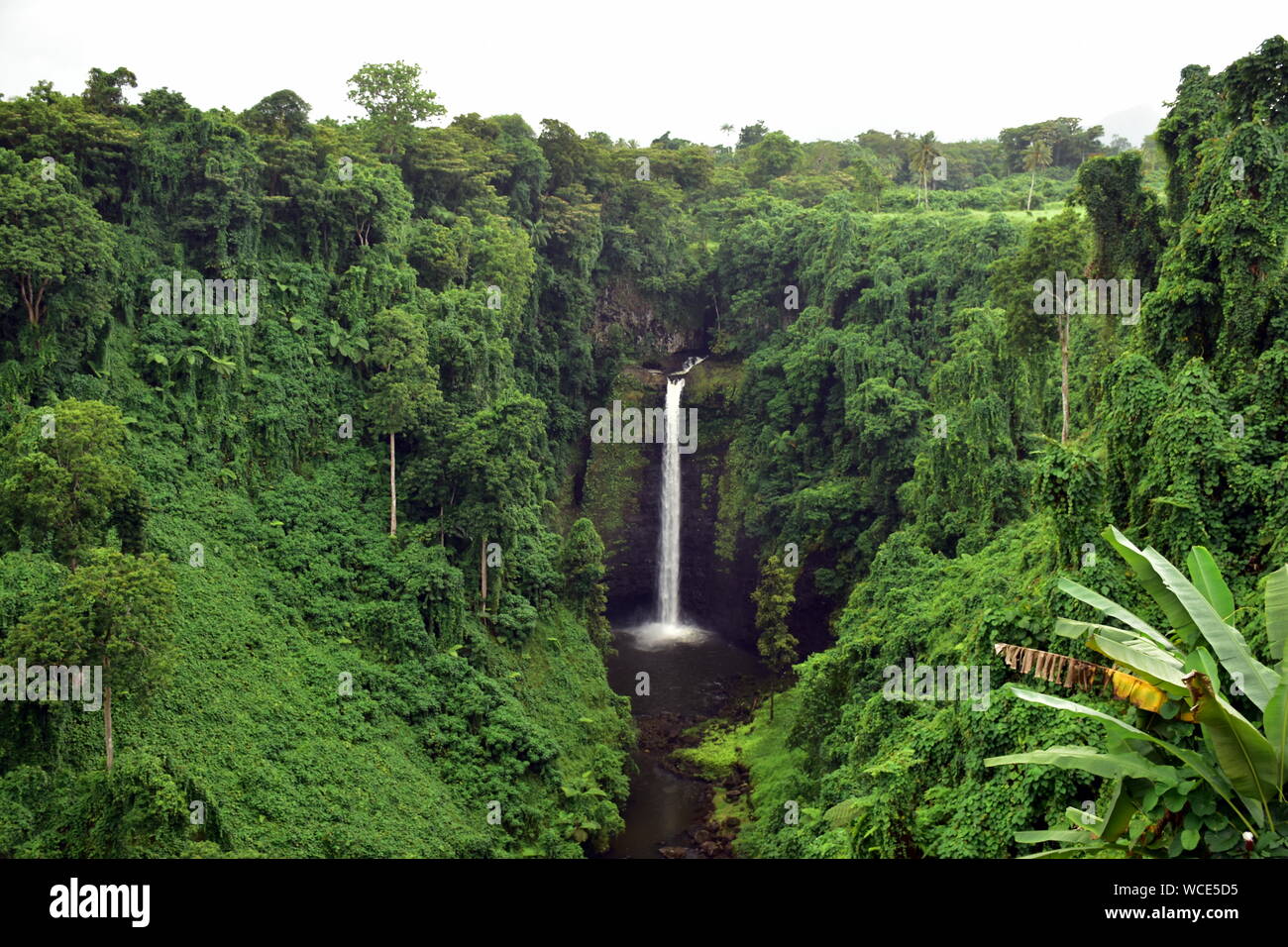 Magnificent waterfall called Sopoaga Falls in the island of Upolu, in ...