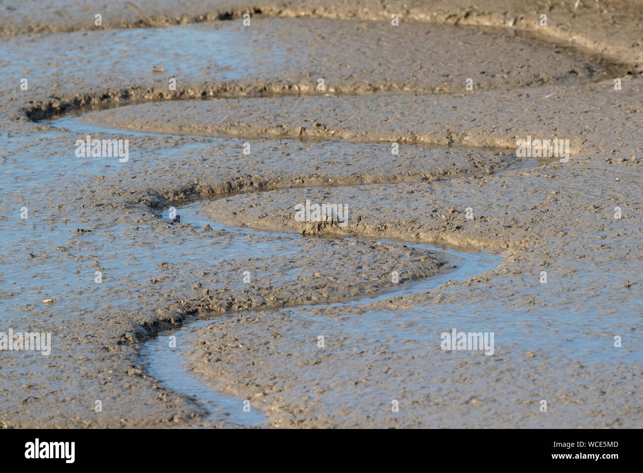 Meanders Pattern In Nature