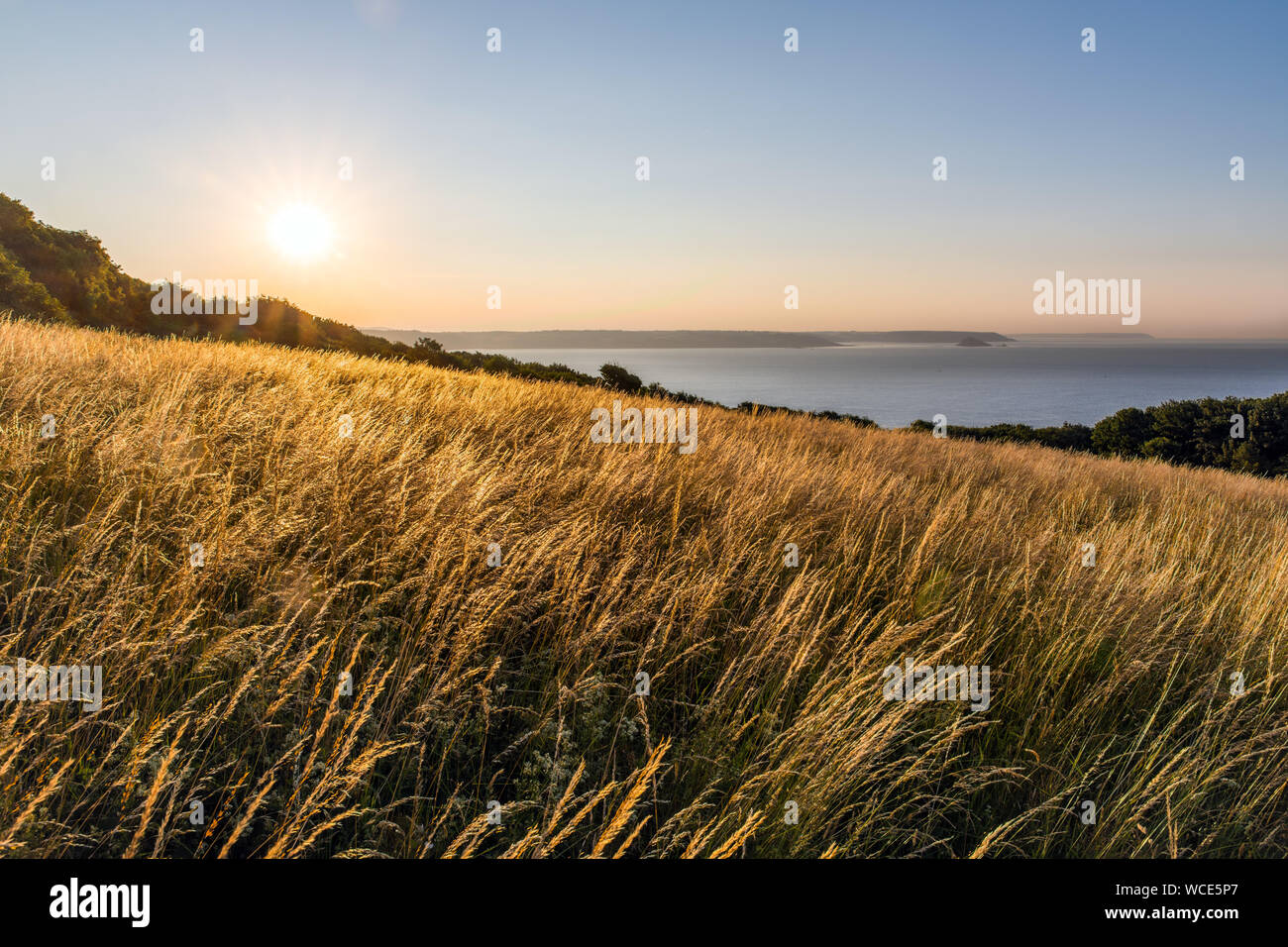 Penlee Battery; Rame Peninsula; Cornwall; UK Stock Photo - Alamy