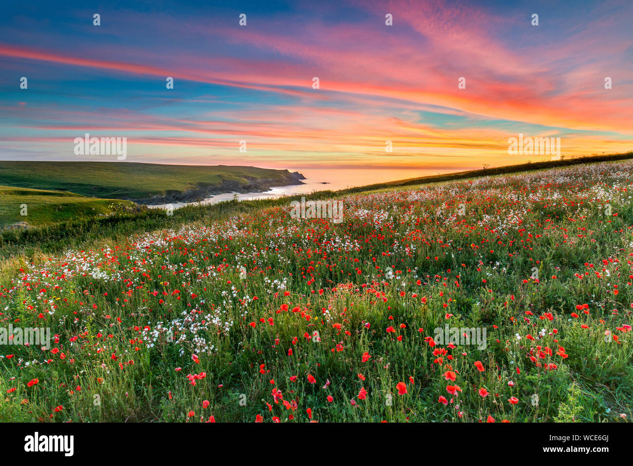 Cornwall sunset hi-res stock photography and images - Alamy