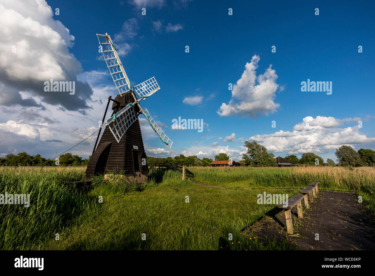Wicken fen hi-res stock photography and images - Alamy
