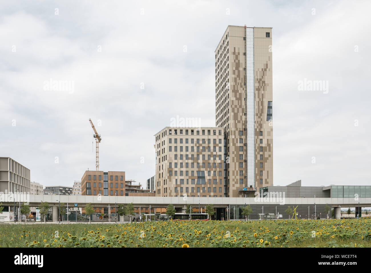 Hoho vienna hi-res stock photography and images - Alamy