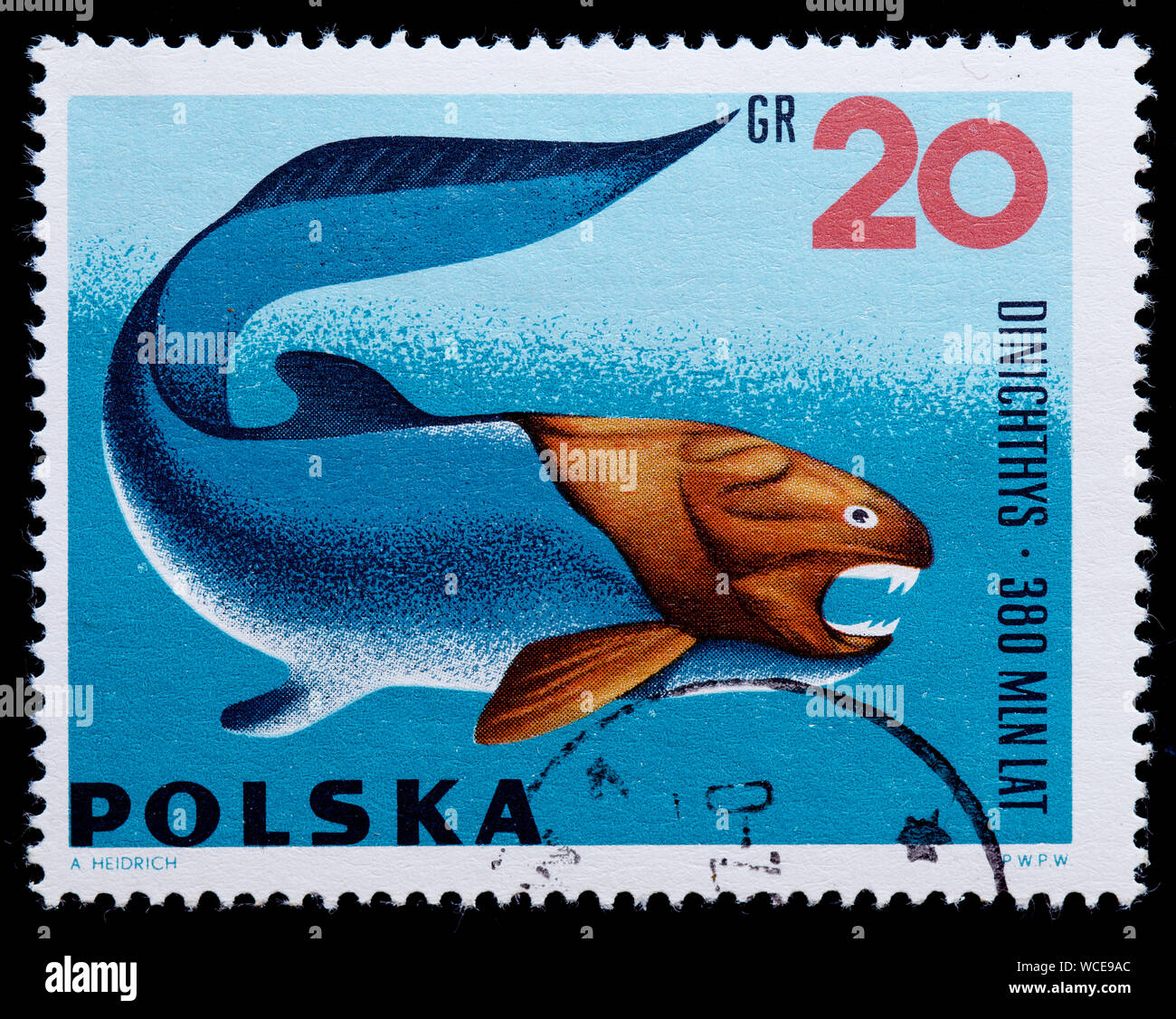 Dinichthys hi-res stock photography and images - Alamy