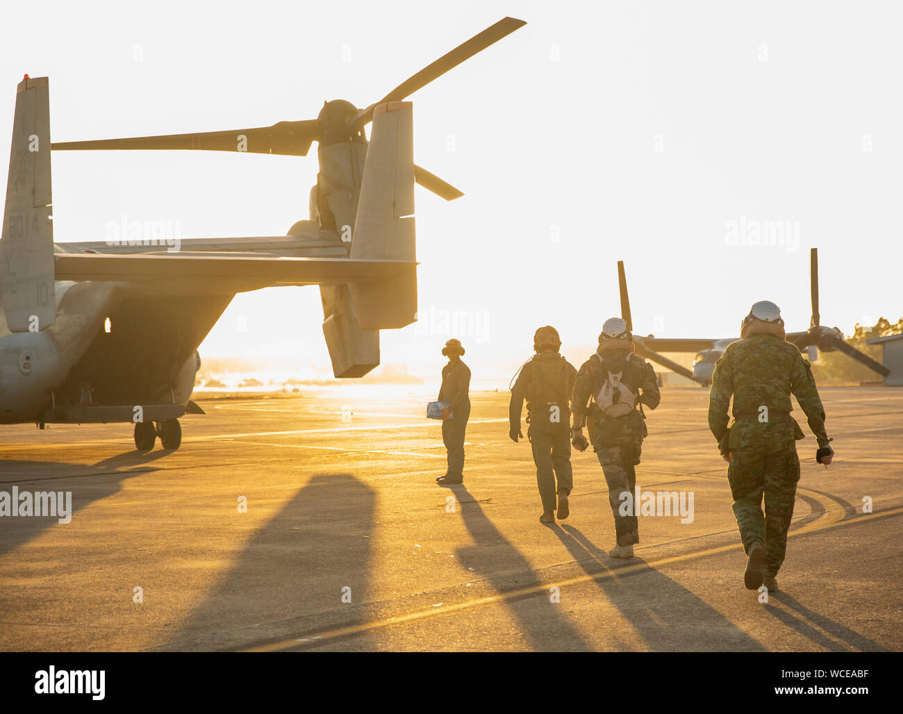 Mrf darwin hi-res stock photography and images - Alamy