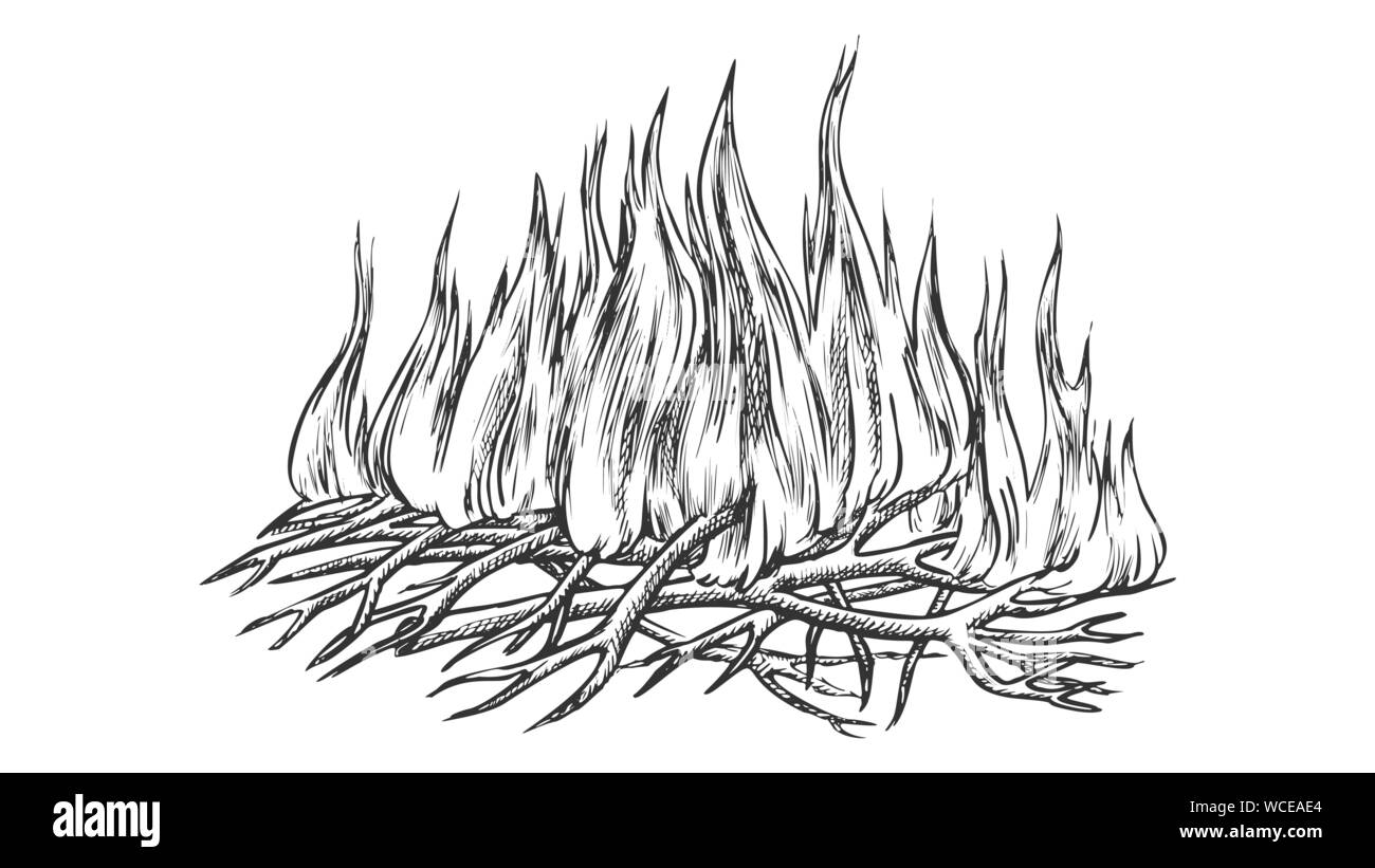 Traditional Burning Camping Fire Monochrome Vector Stock Vector Image ...
