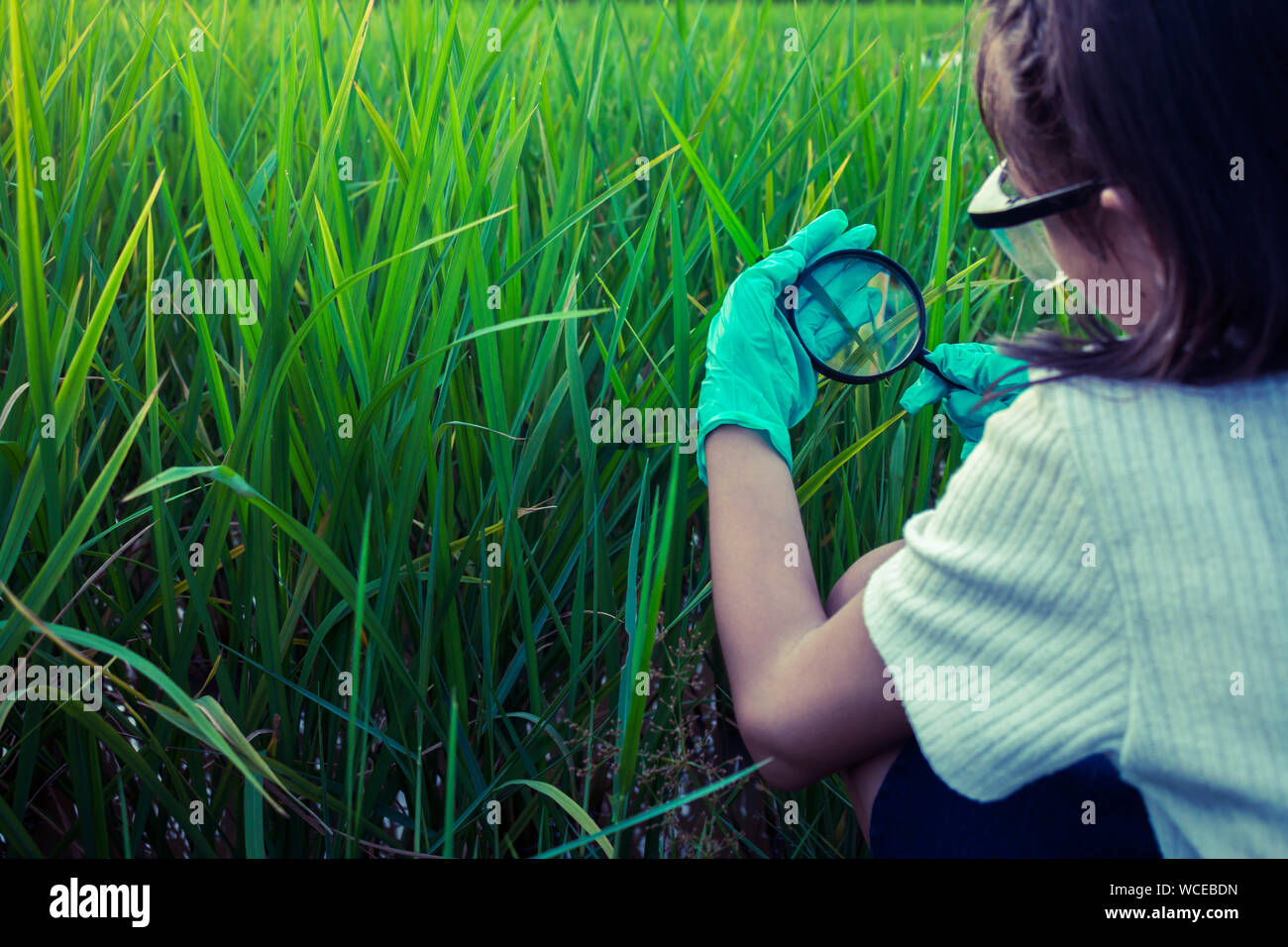 Looking at grass hi-res stock photography and images - Alamy