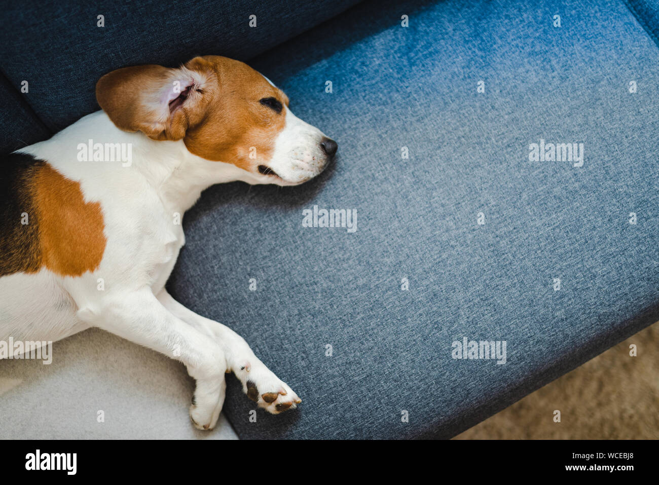 Guarding from above hi-res stock photography and images - Alamy