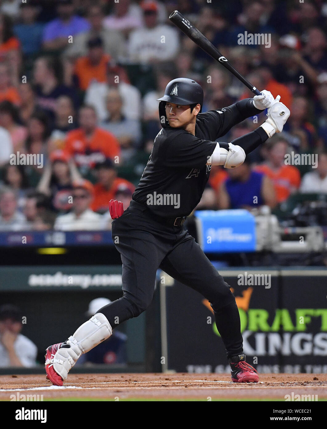 Houston bats hi-res stock photography and images - Alamy