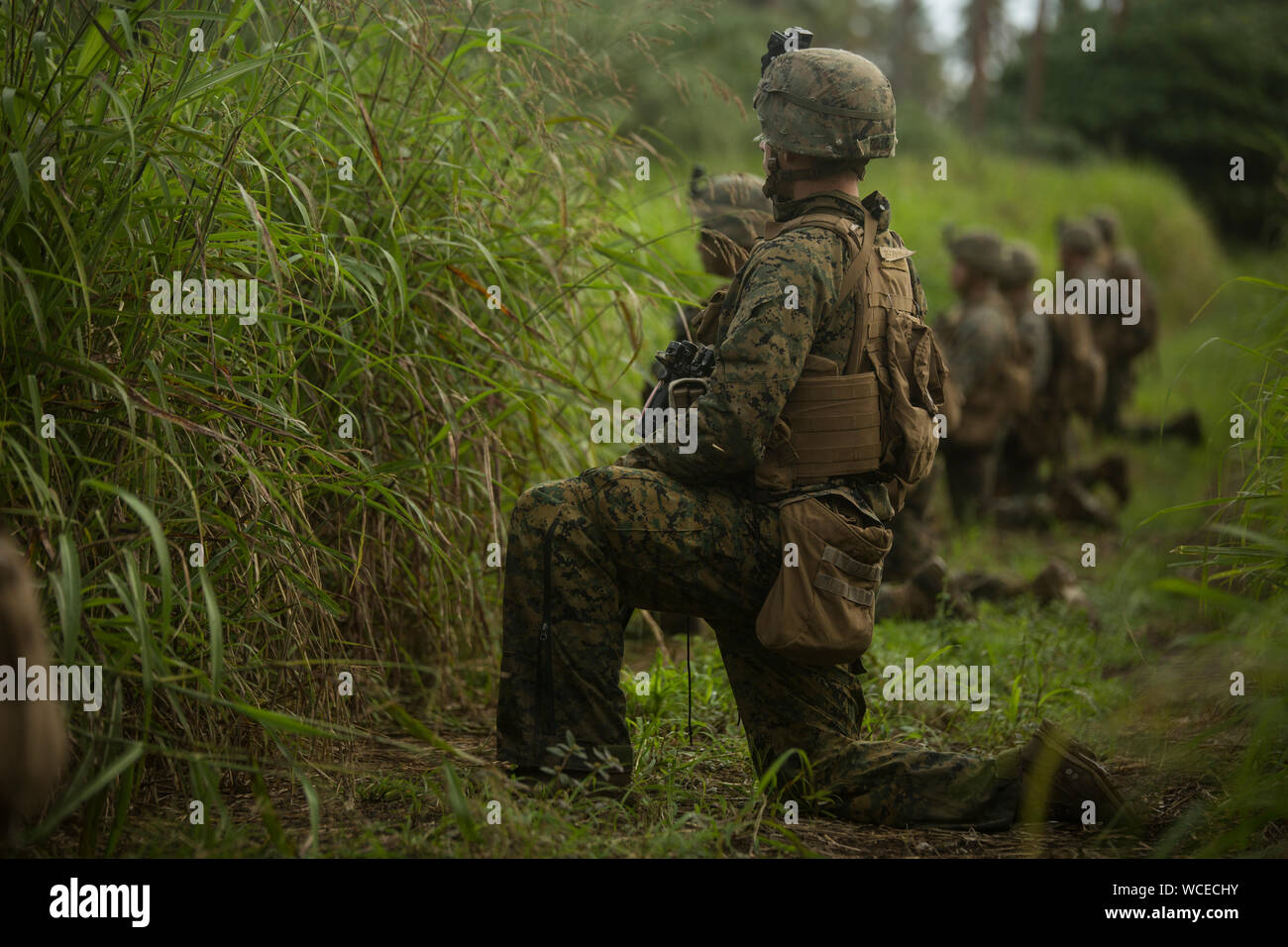 U.S. Marines with the Ground Combat Element, Marine Rotational Force ...