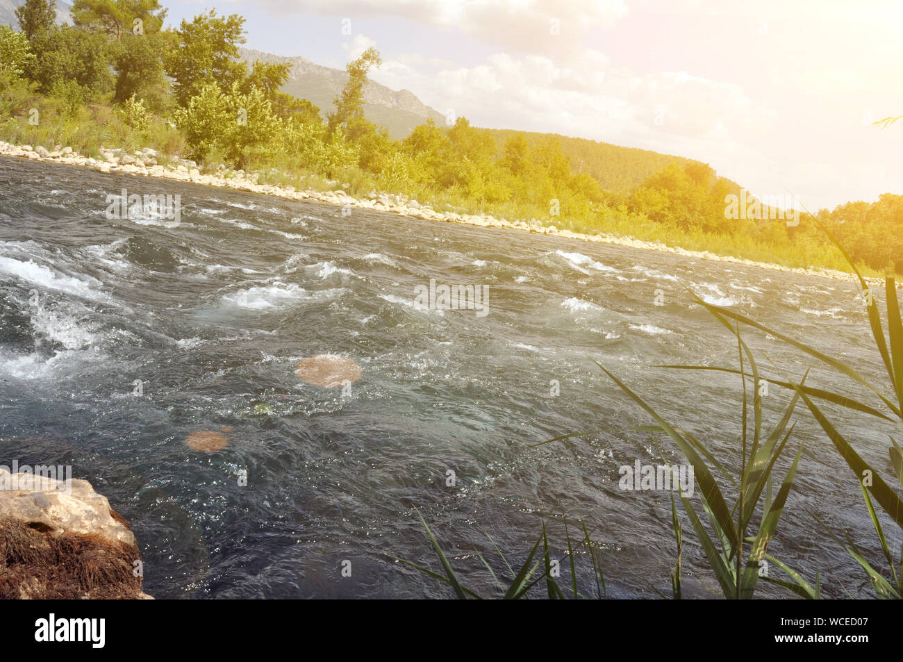 The rapid flow of a mountain river. Relaxation Stock Photo - Alamy
