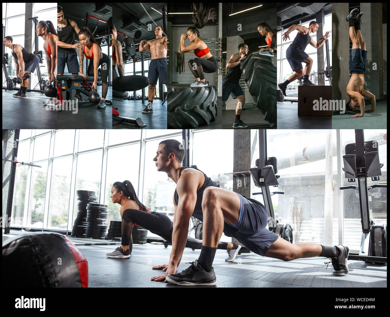 A muscular athletes doing workout at the gym. Gymnastics, training ...