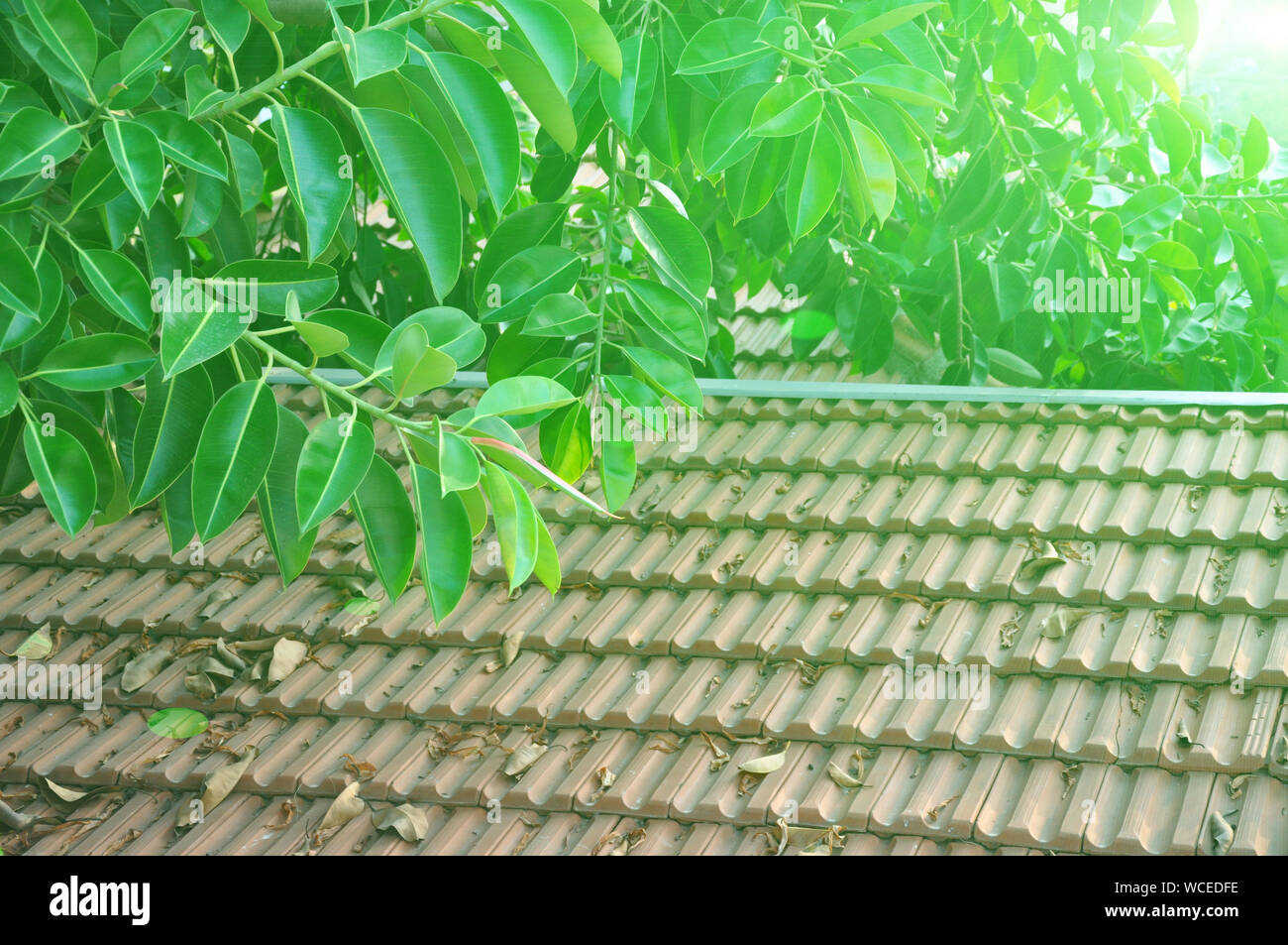 Soft roofing hi-res stock photography and images - Alamy