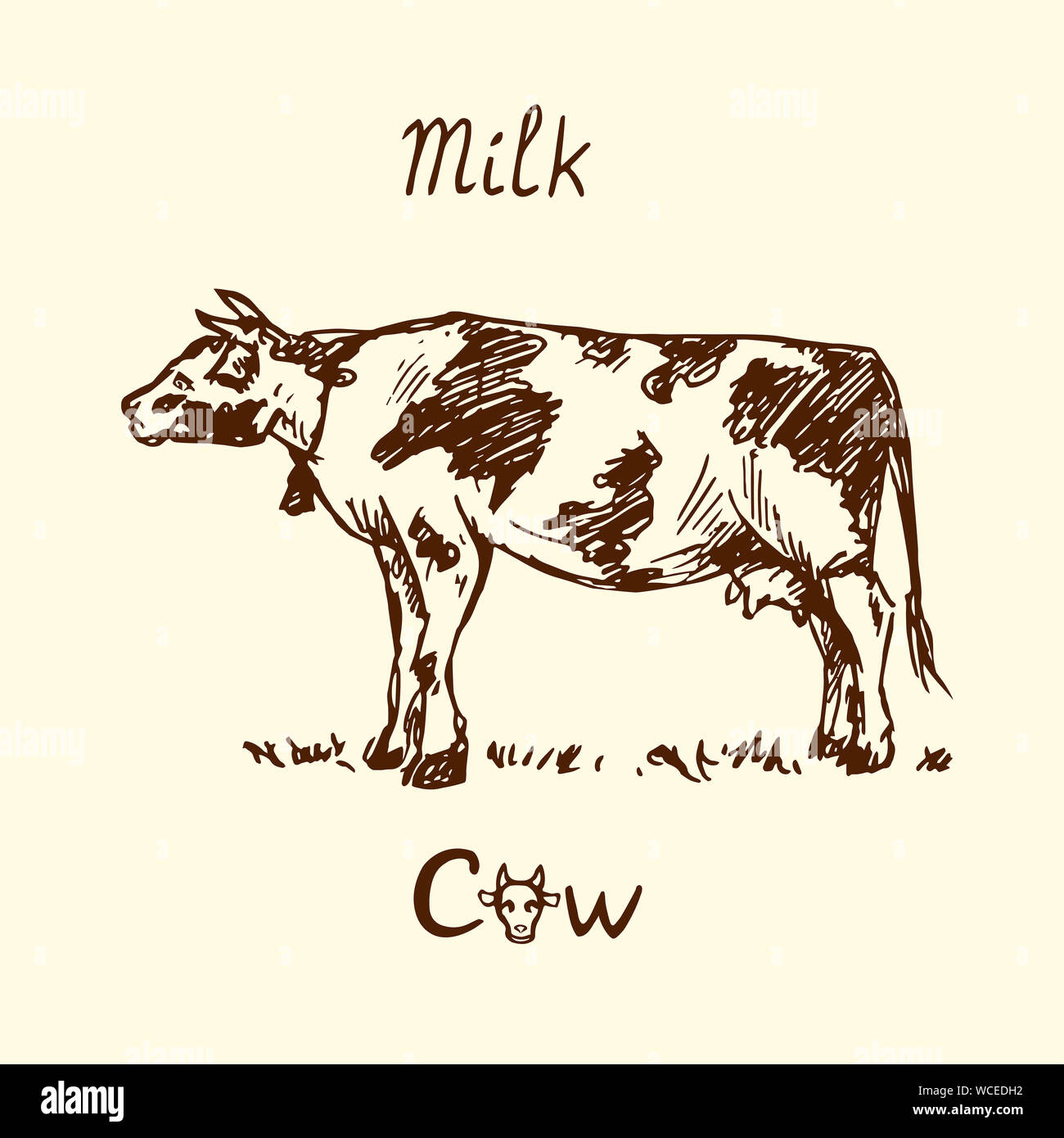 Cow standing side view, hand drawn doodle, sketch in retro gravure ...