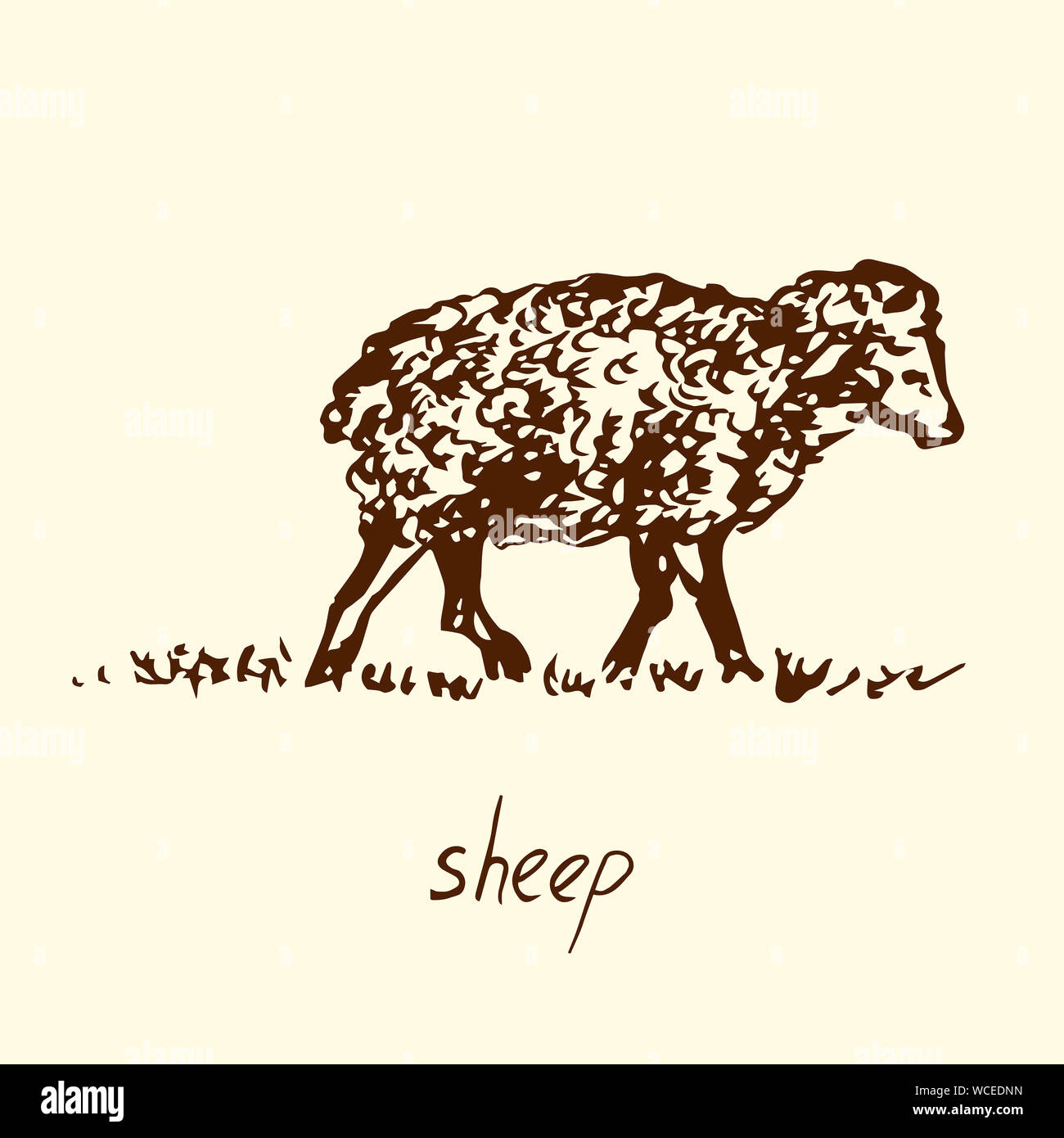 Sheep Side View Drawing