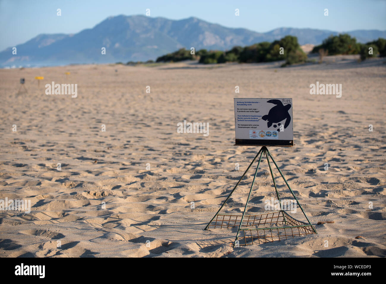 Protected turtle nestling beach hi-res stock photography and images - Alamy