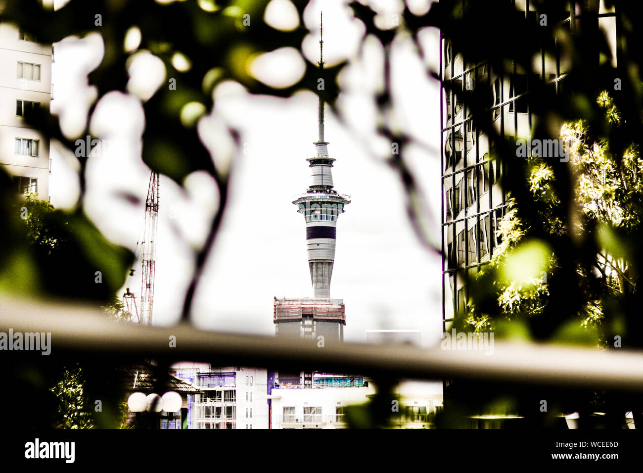 New zealand television sky tower hi-res stock photography and images ...