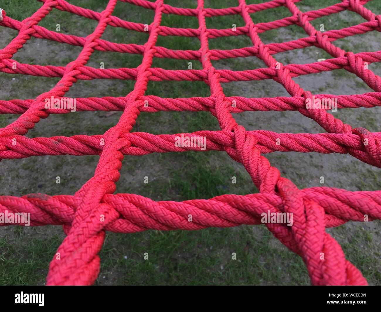 Jungle ropes hi-res stock photography and images - Alamy