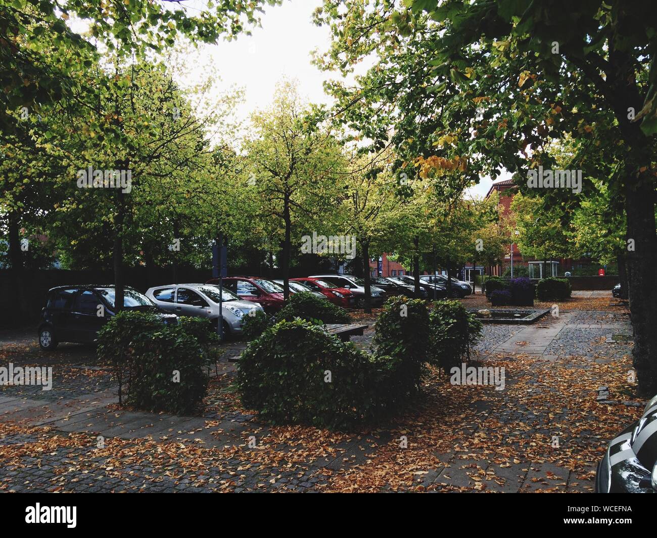 Parking Lot With Trees High Resolution Stock Photography and Images - Alamy